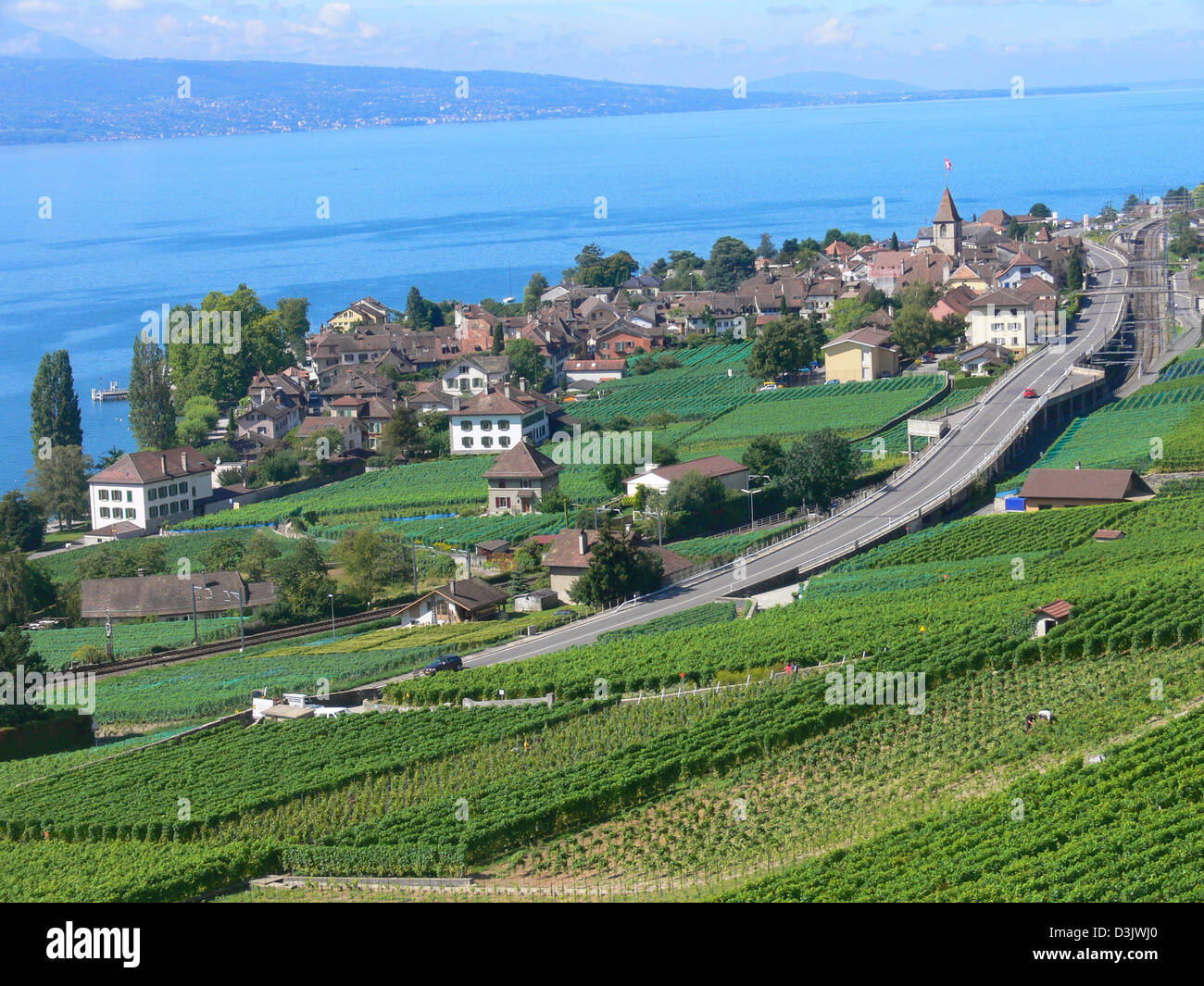 terrace of lavaux,vaud,swiss Stock Photo - Alamy