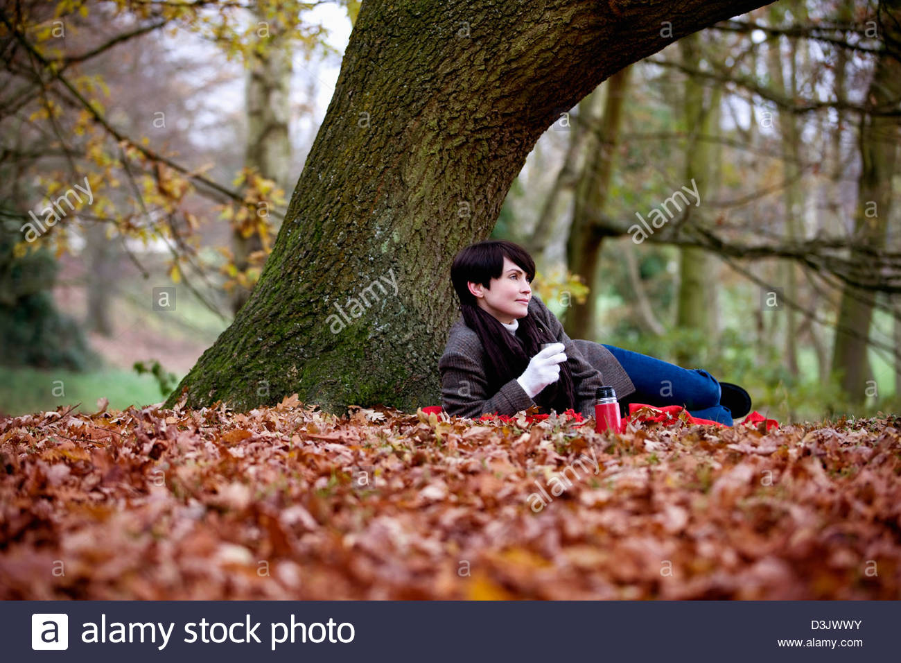 Lying Under Tree Stock Photos & Lying Under Tree Stock Images - Alamy