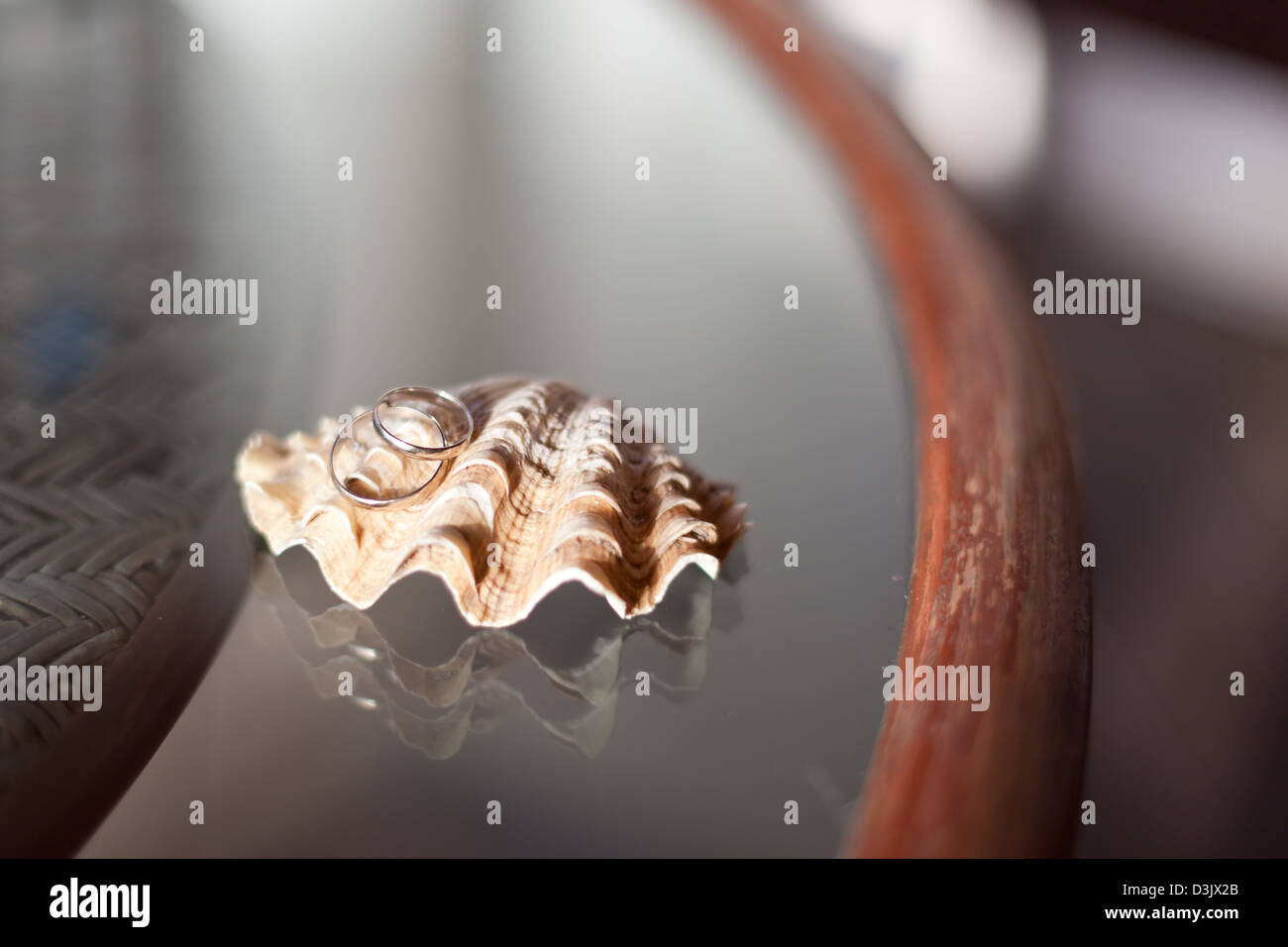Celebration Valentine's day on beach, rings on shell Stock Photo - Alamy