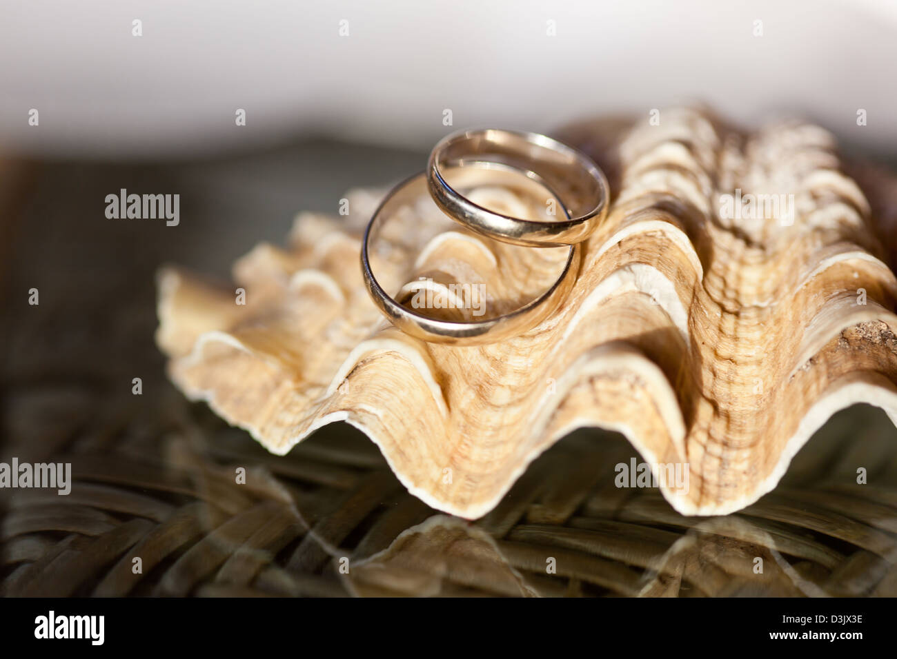 Celebration Valentine's day on beach, rings on shell Stock Photo - Alamy