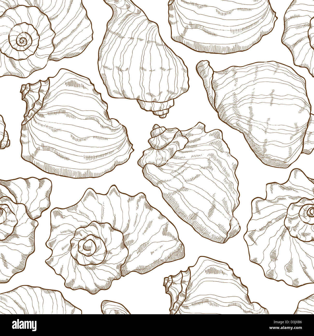 Hand drawing seashell pattern on white background Stock Photo - Alamy