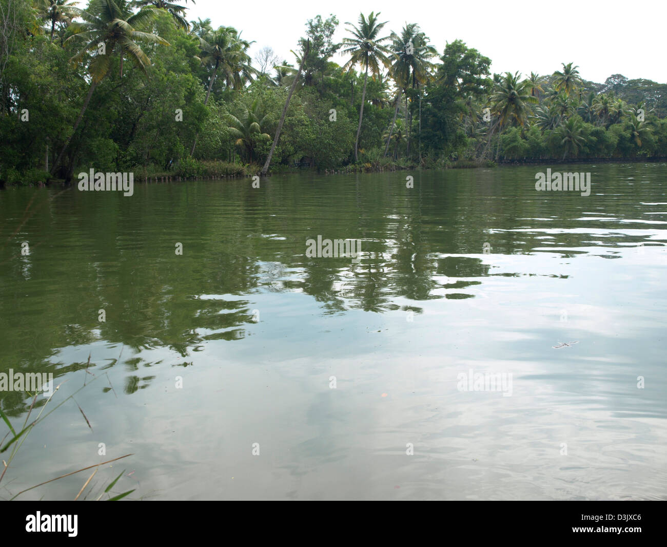 This picture was taken from Poovar-Trivandrum, a trip through the ...