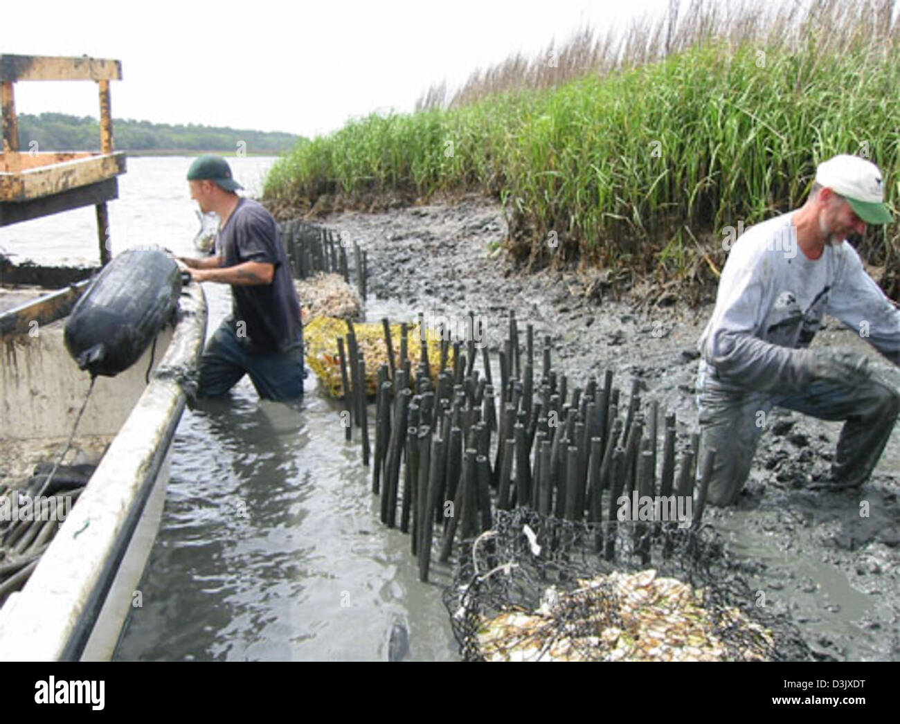 NOAA's National Estuarine Research Reserve at Sapelo Island in Georgia ...