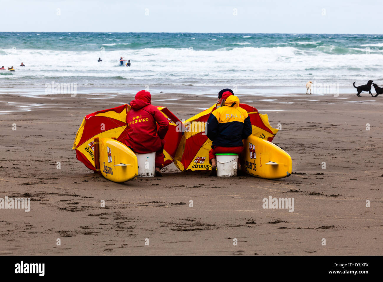 RNLI lifeguards use surfboards and umbrellas to shelter from the cold ...