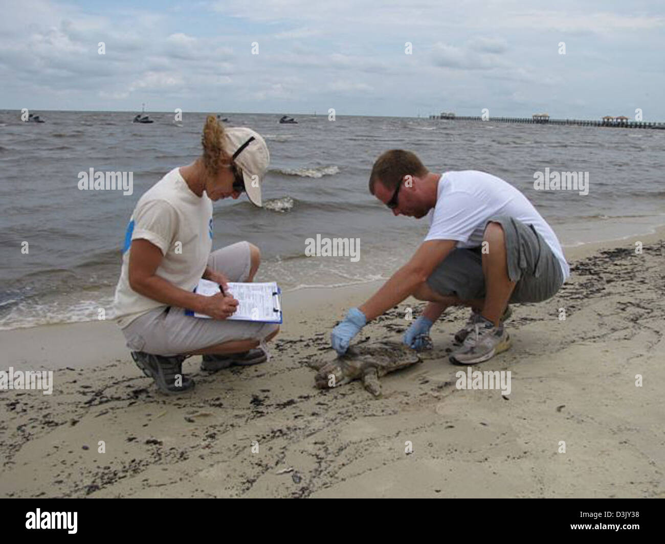 Following the BP Deepwater Horizon oil spill in the Gulf of Mexico ...