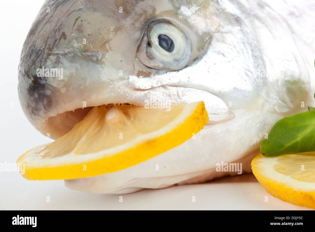 Raw salmon head close hi-res stock photography and images - Alamy
