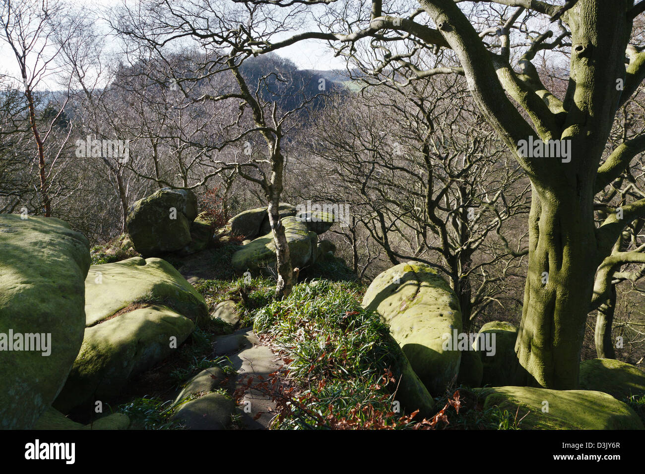 Rowtor Rocks, Birchover, Peak District National Park, Derbyshire ...