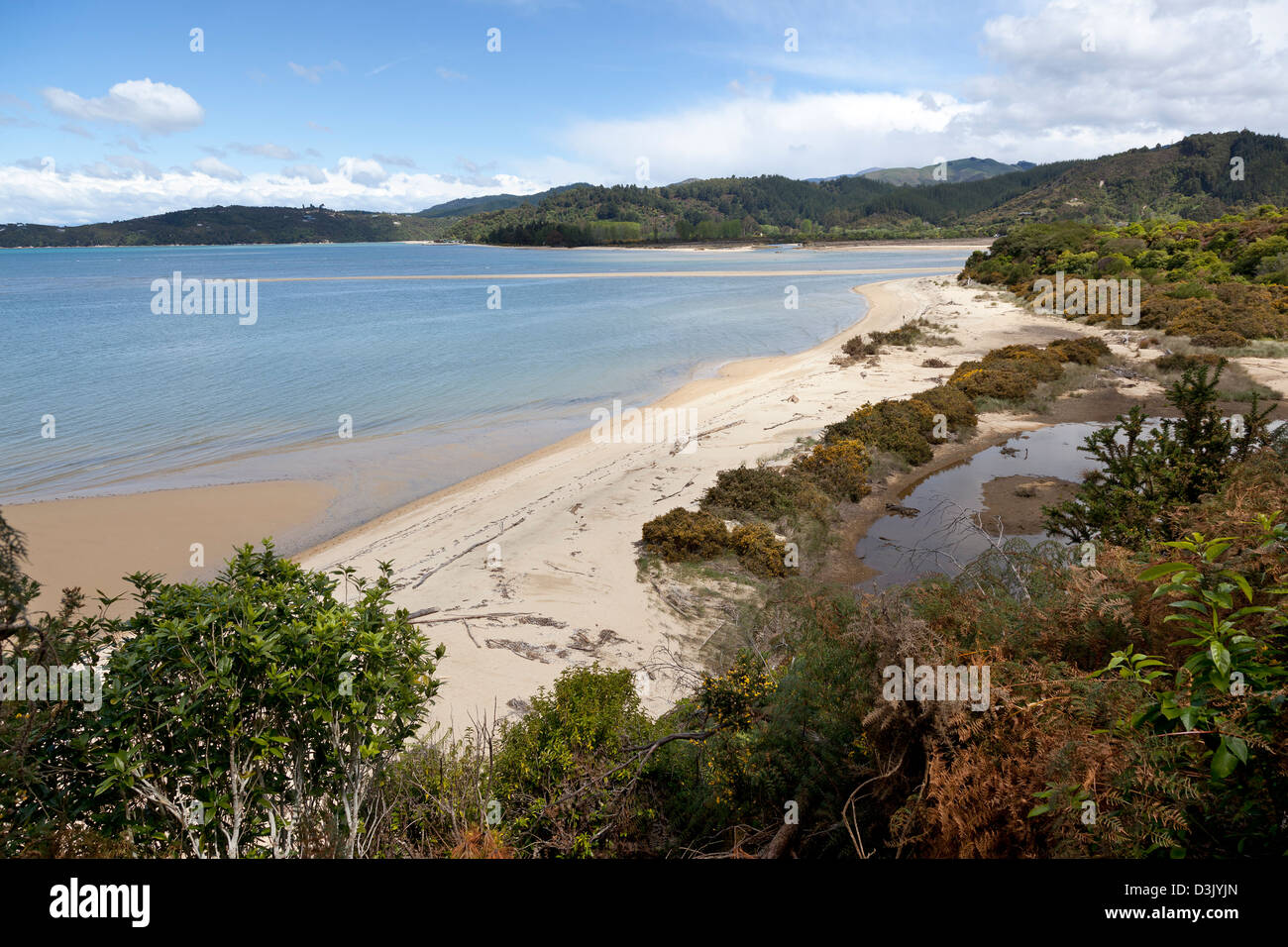 Beach in Abel Tasman National Park, New Zealand Stock Photo - Alamy