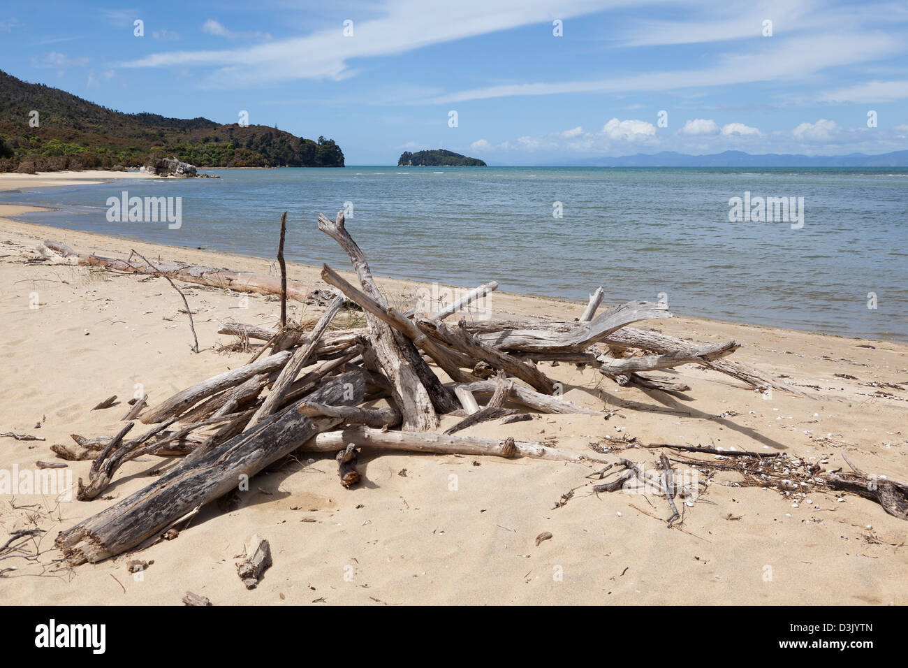 Beach in Abel Tasman National Park, New Zealand Stock Photo - Alamy