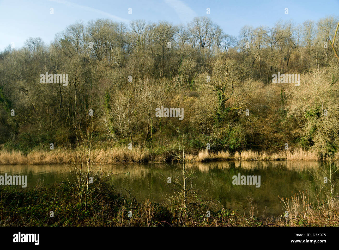 Ely countryside hi-res stock photography and images - Alamy