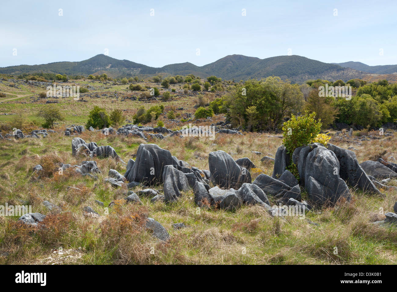 Marble in Takaka hills, New Zealand Stock Photo - Alamy