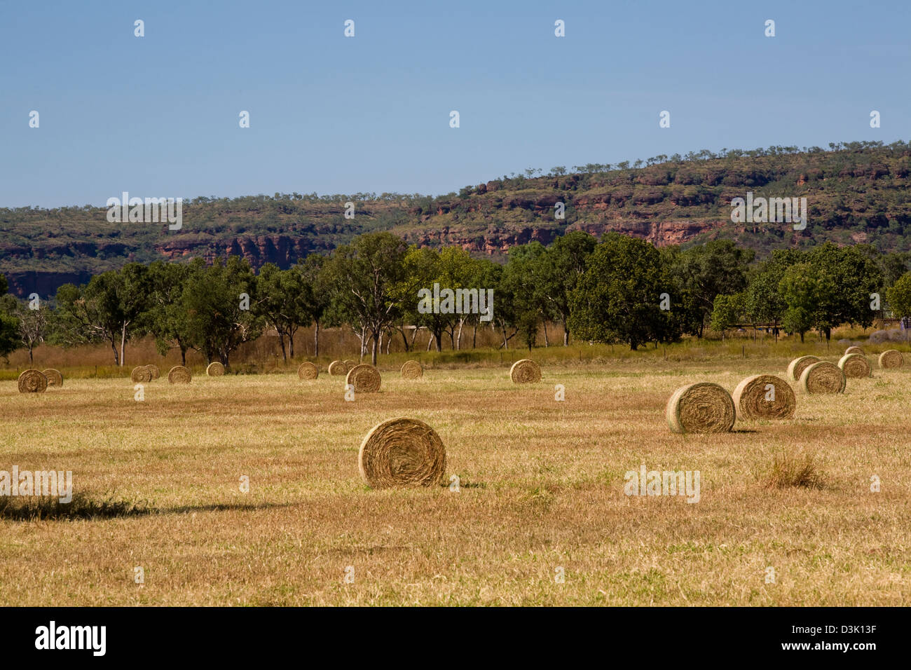 Farm scene near Victoria River Crossing, Northern Territory, Australia ...