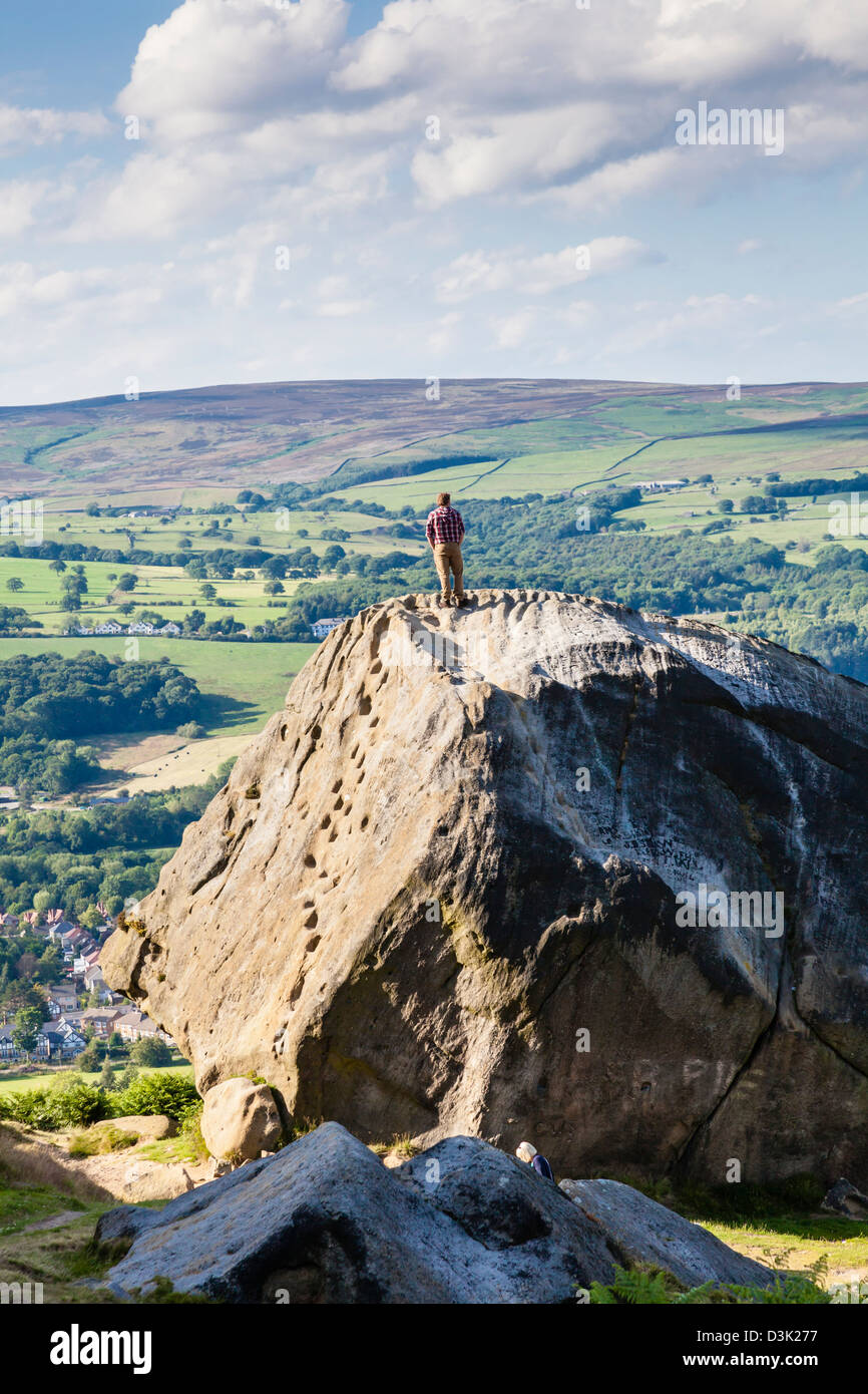 Cow And Calf Rocks