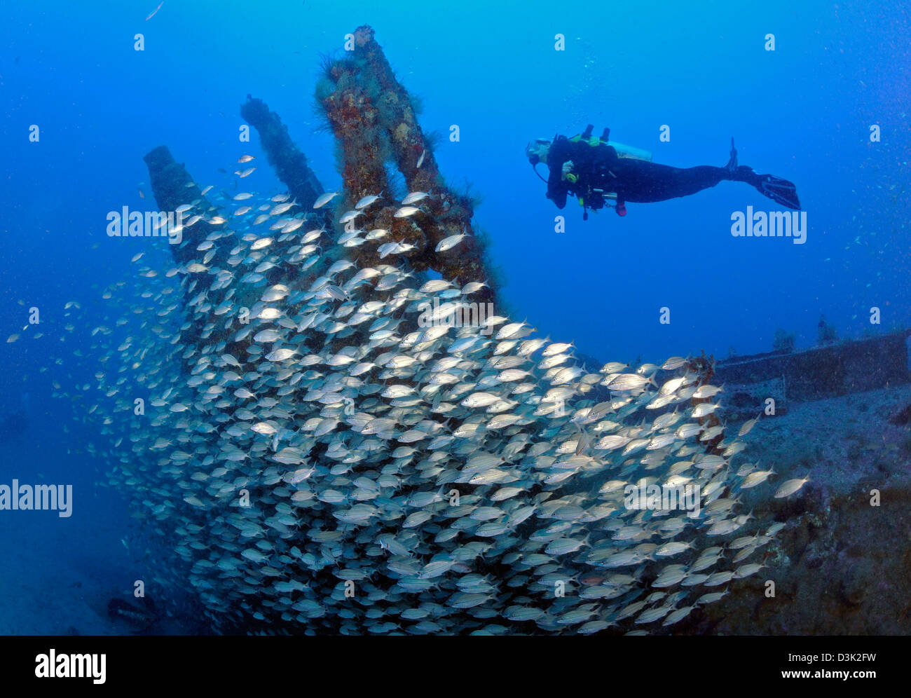 U 352 submarine north carolina hi-res stock photography and images - Alamy