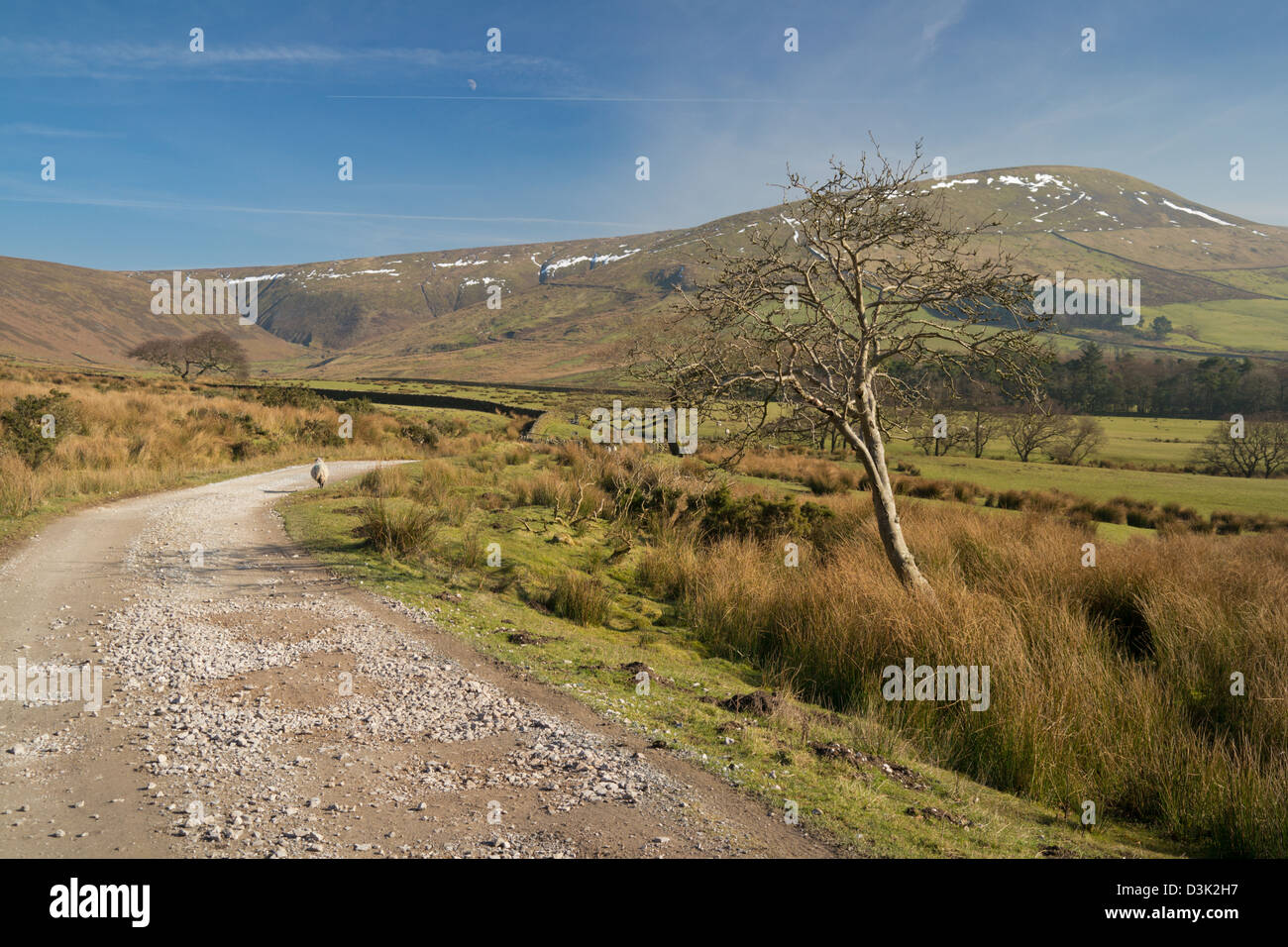 Fairsnape hi-res stock photography and images - Alamy