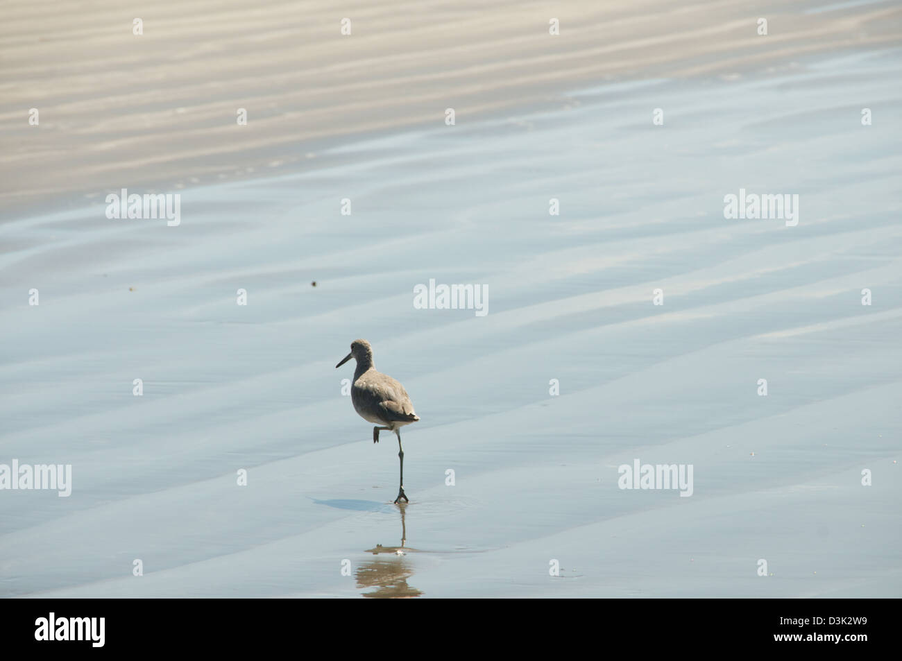 One foot hi-res stock photography and images - Alamy