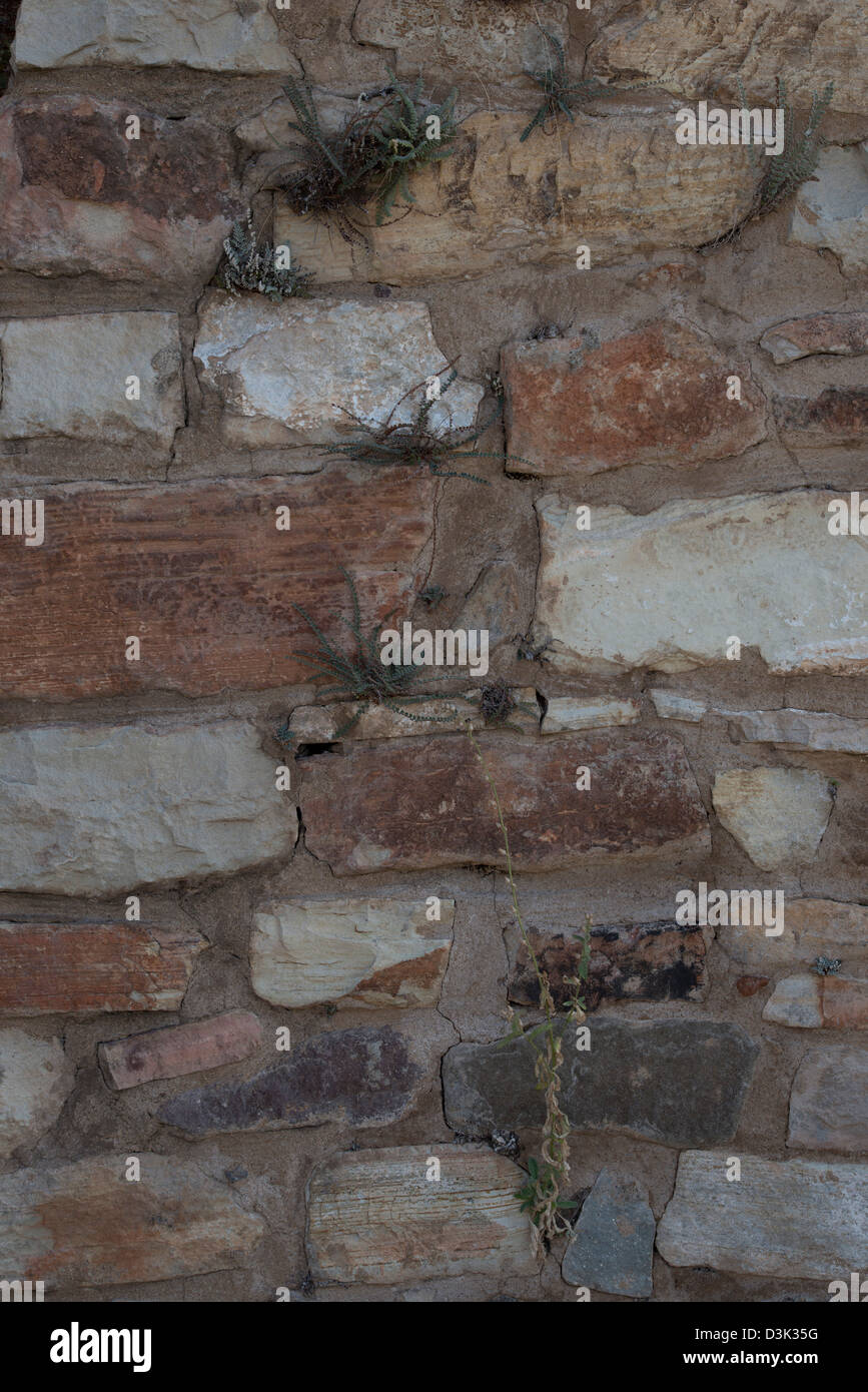 Homer Wilson Ranch, Big Bend National Park, Texas, USA, Big Bend ...