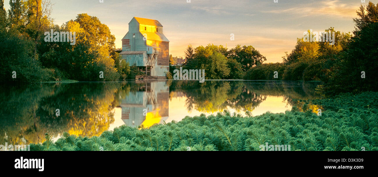 Kompf grain mill and Long Tom River. Monroe, Oregon Stock Photo - Alamy