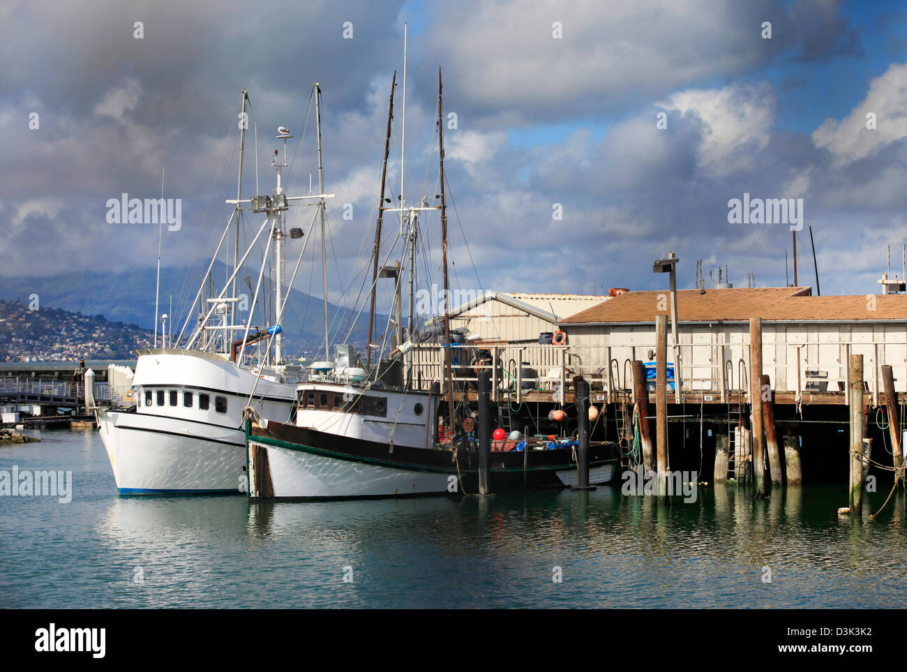 California yacht harbor with the San Francisco skyline in the ...