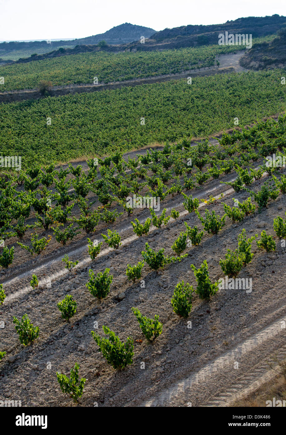Rioja alavesa wine route hi-res stock photography and images - Alamy