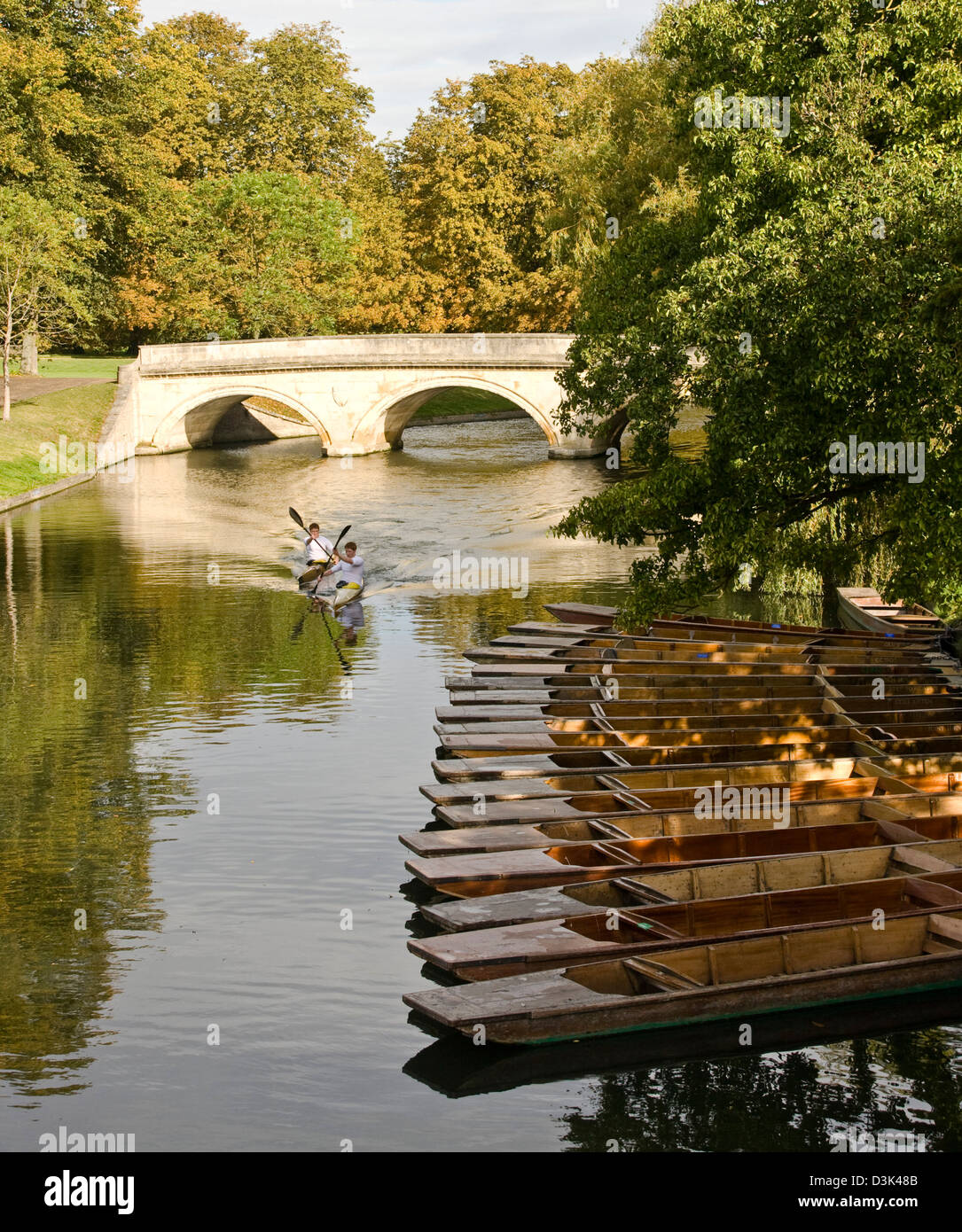 Human backs hi-res stock photography and images - Alamy