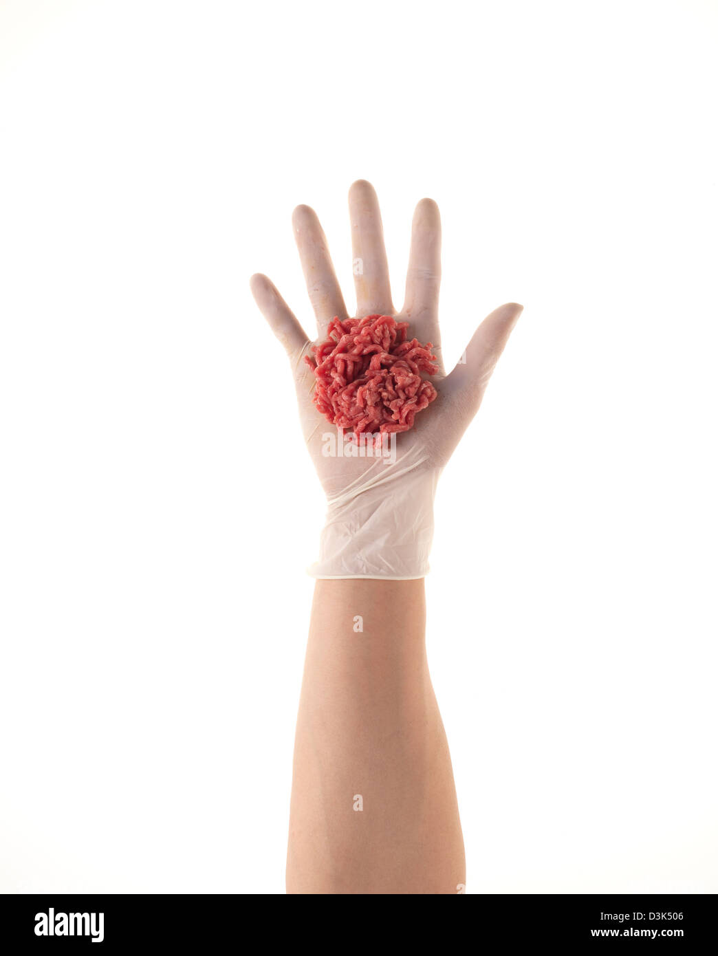 mince meat, hand , scientific, holding, mince, meat, rubber glove ...