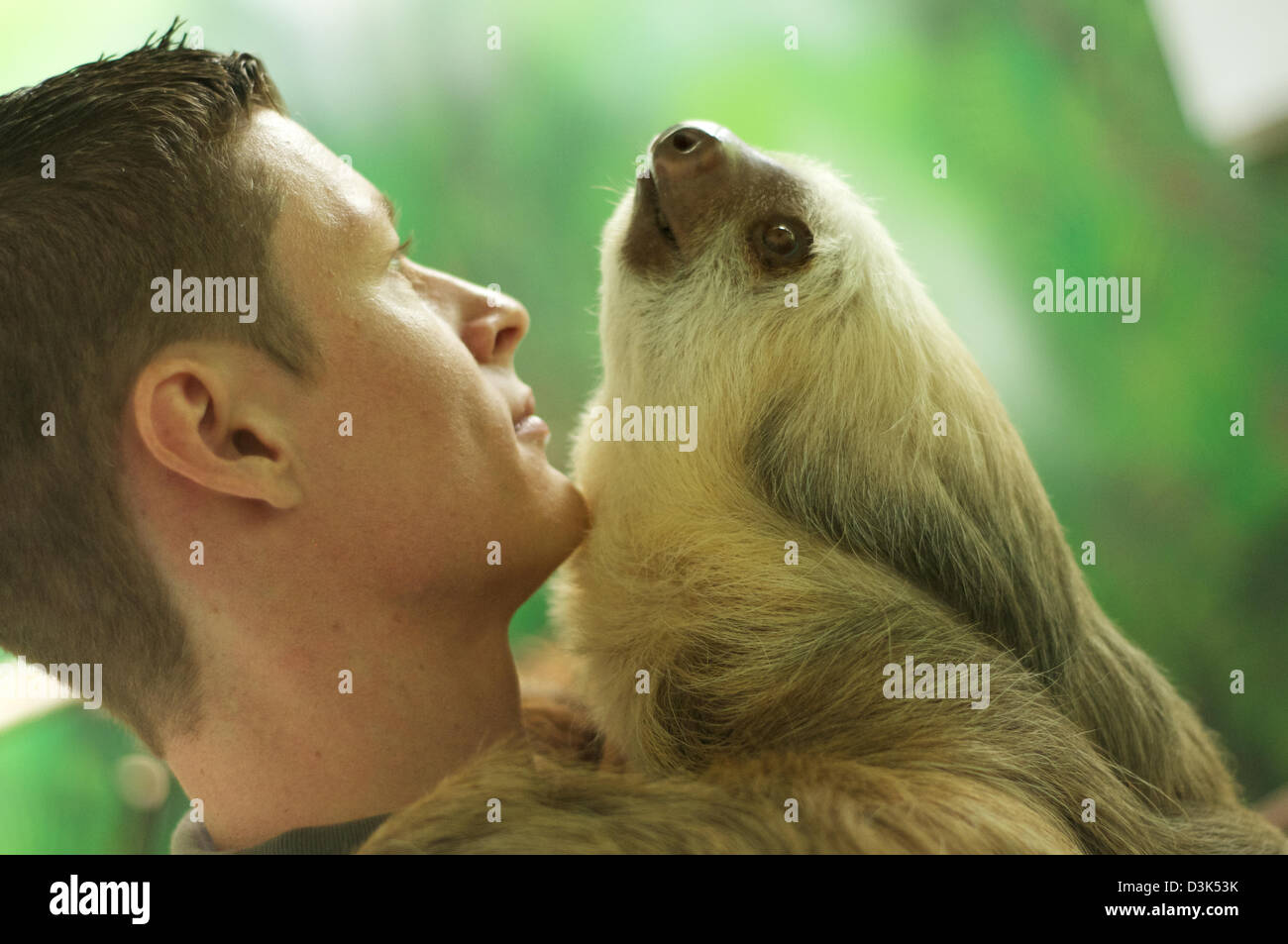 Sloth Sanctuary of Costa Rica Stock Photo - Alamy