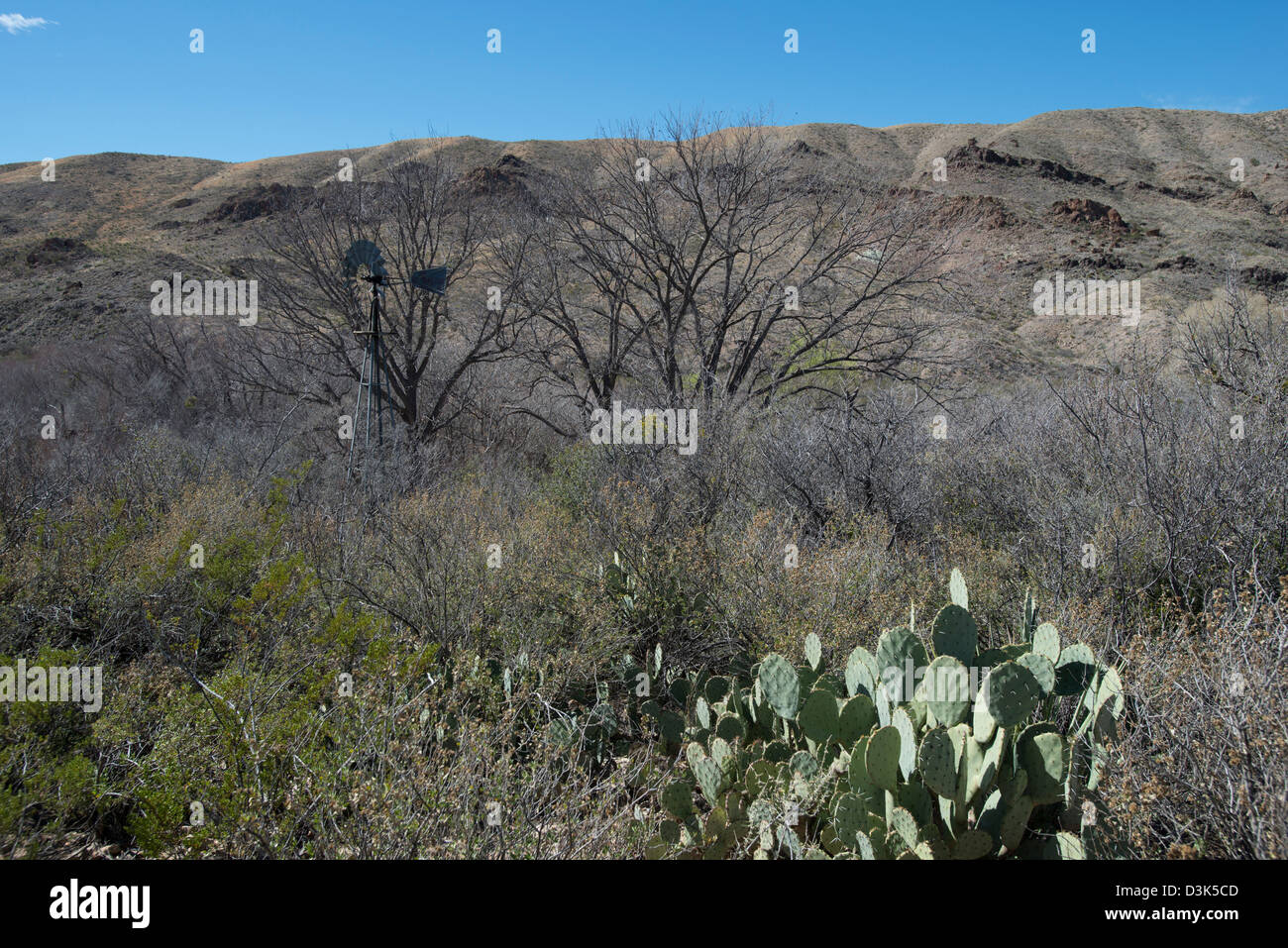 Sam Nail Ranch, Big Bend National Park, Texas, USA, Windmill, Homestead ...