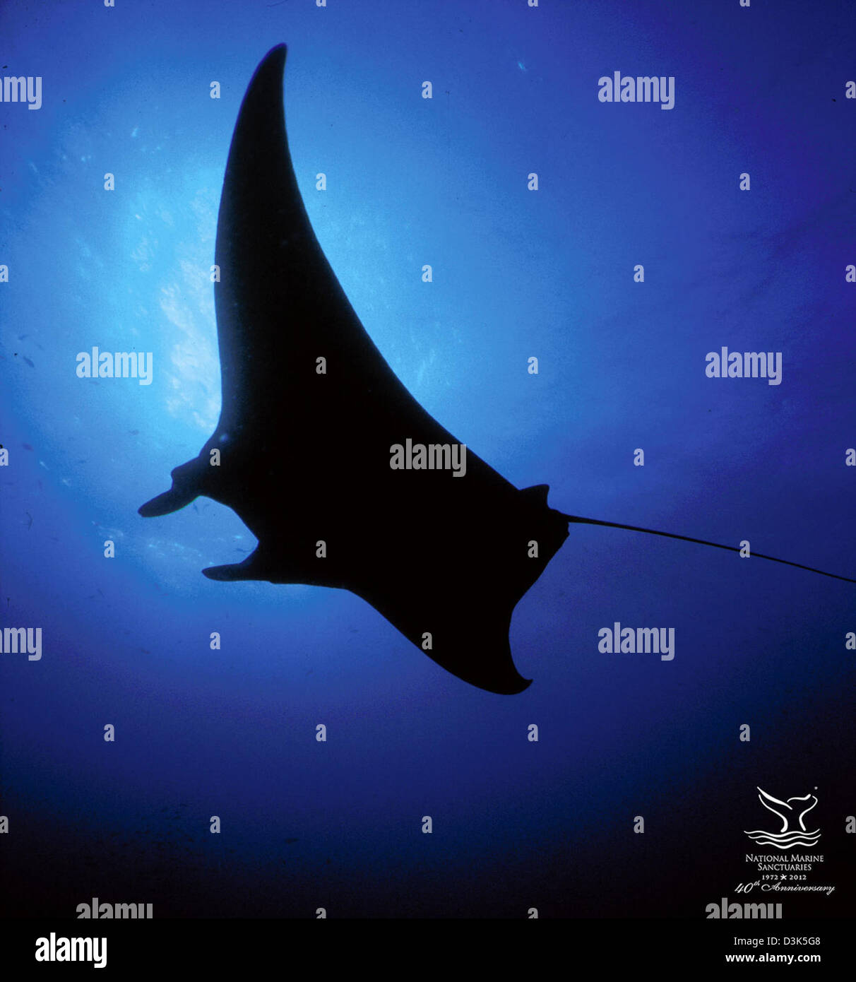 The Flower Garden Banks National Marine Sanctuary, located off the ...