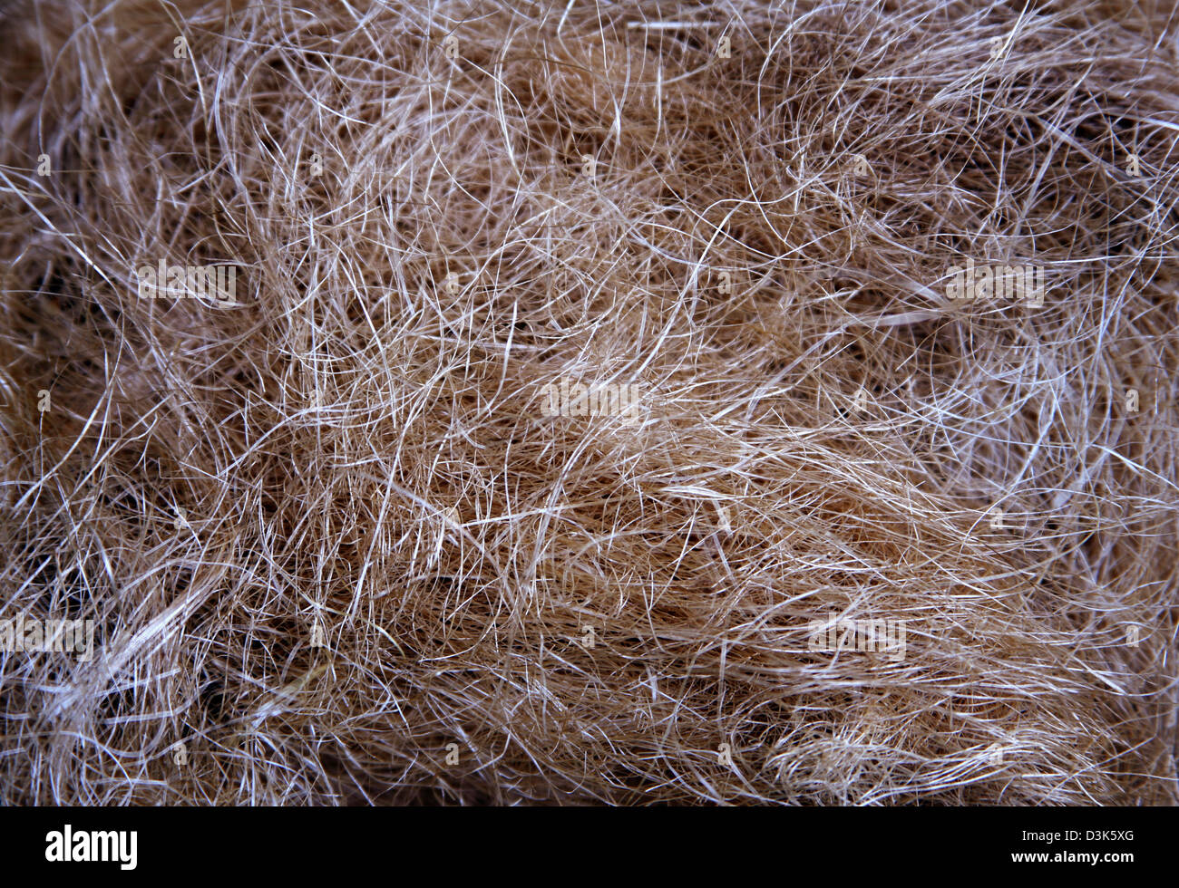 Close up of hay to be used as a background Stock Photo - Alamy
