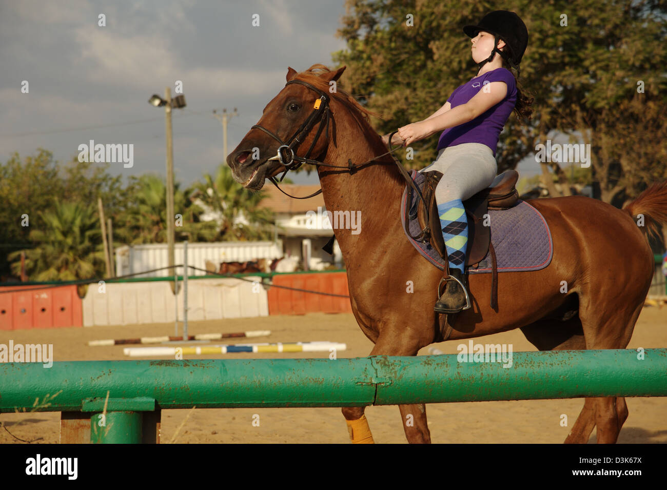 animal, domestic, horse, ride, riding, rider Stock Photo - Alamy