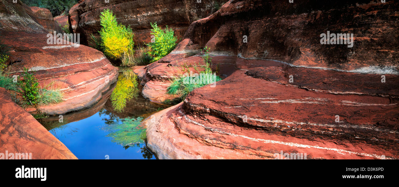 Small pool in red rock of unnamed creek. Red Rock Secret Mountain ...