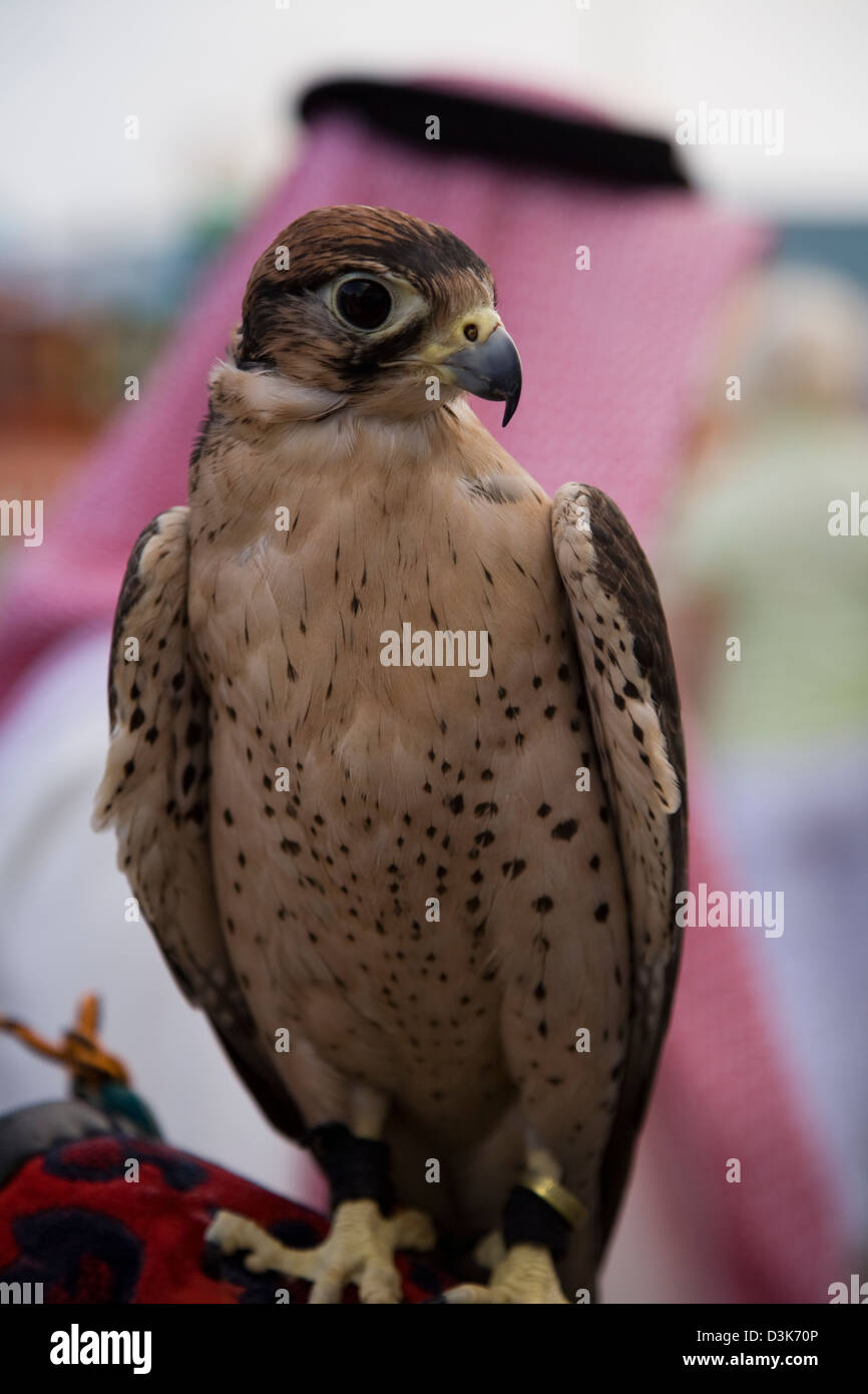 Bahrain deutschland hi-res stock photography and images - Alamy