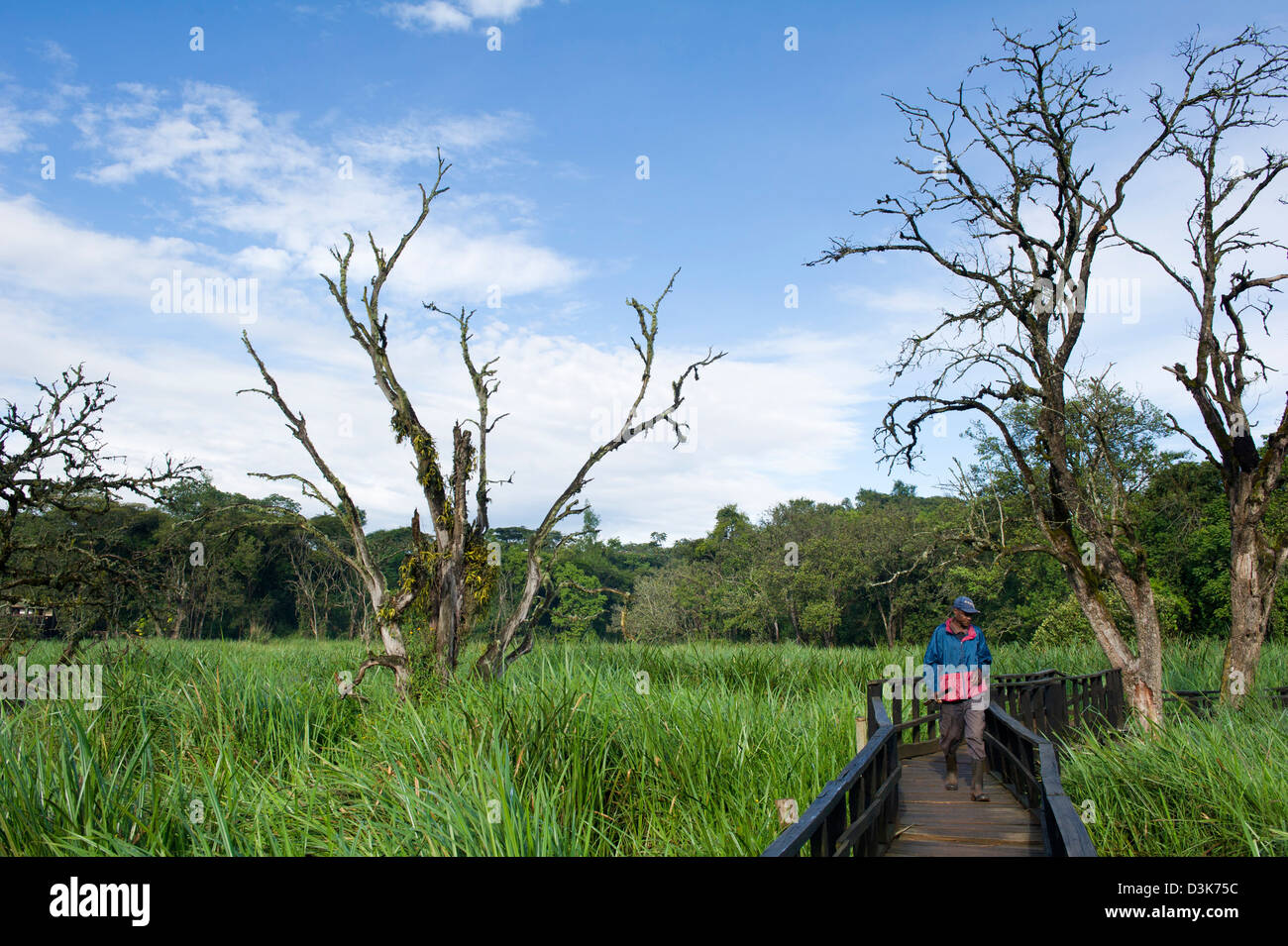 Walkway through the swamp, Saiwa Swamp National Park, Kenya Stock Photo ...