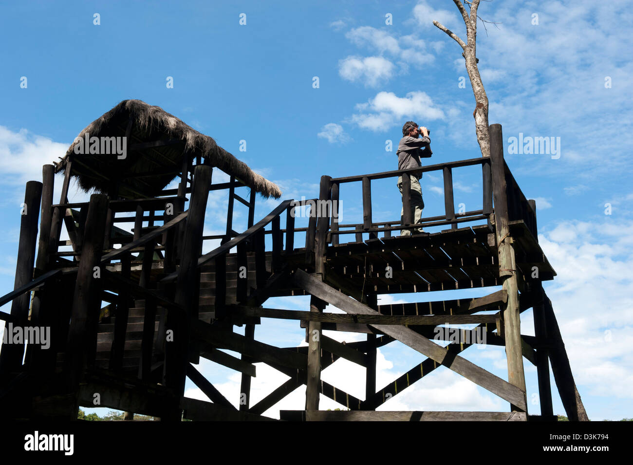 Platform overlooking the swamp, Saiwa Swamp National Park, Kenya Stock ...