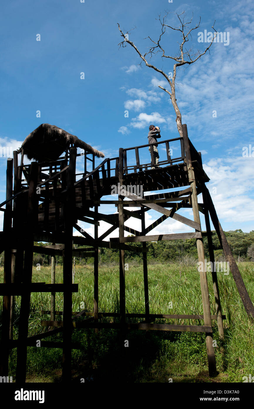 Platform overlooking the swamp, Saiwa Swamp National Park, Kenya Stock ...