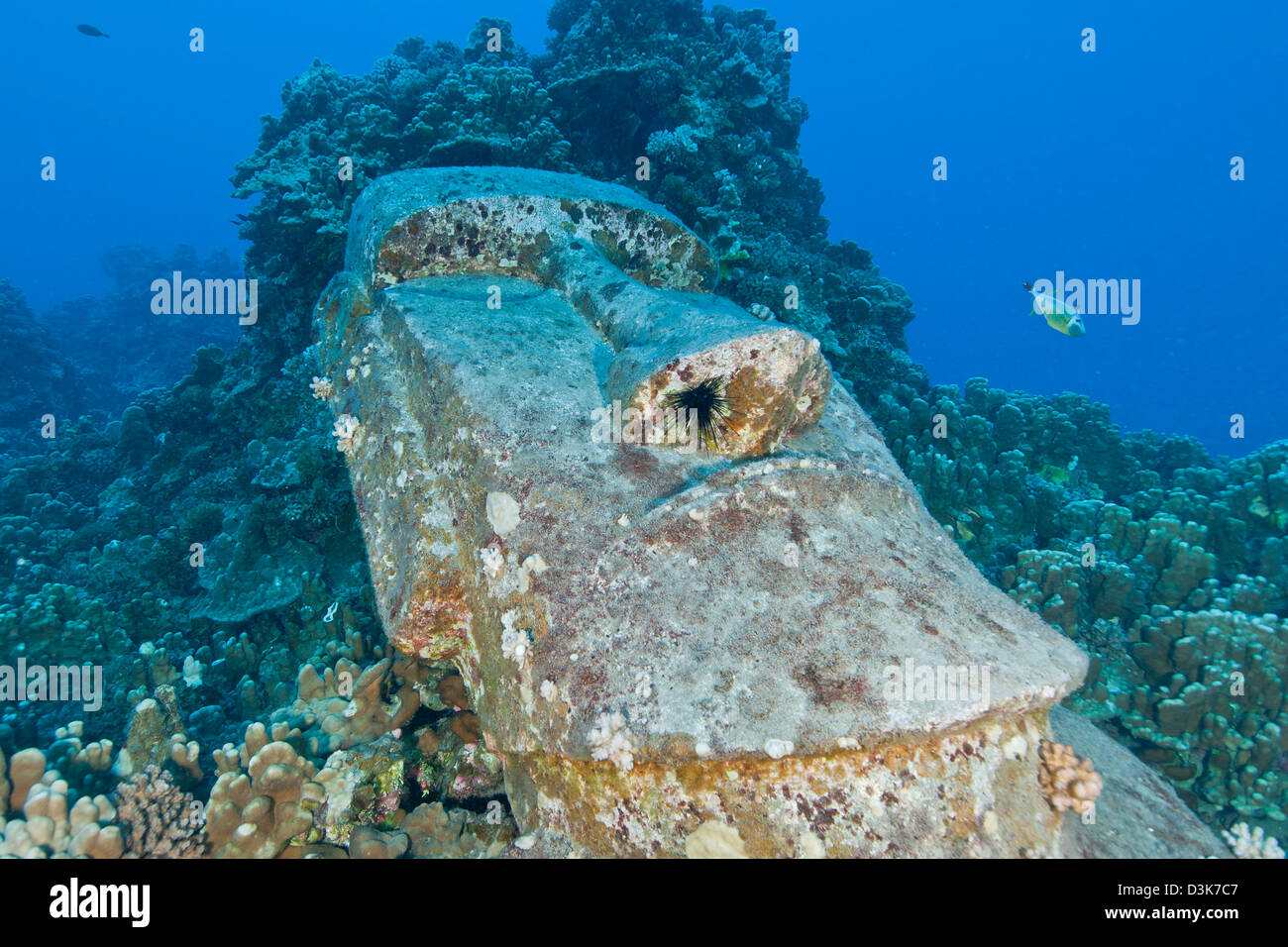 Moai underwater hi-res stock photography and images - Alamy