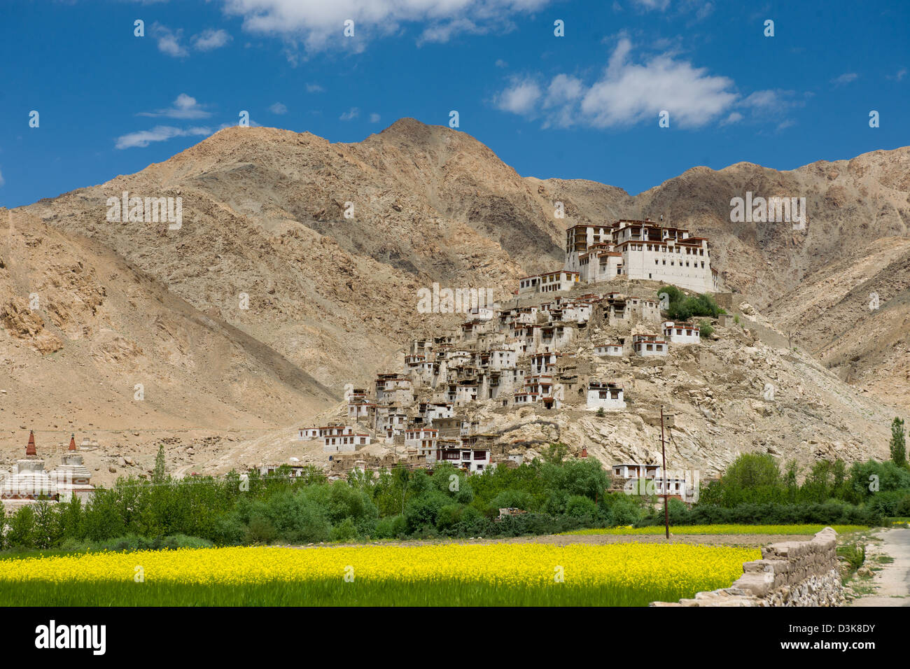 Chemrey gompa hi-res stock photography and images - Alamy