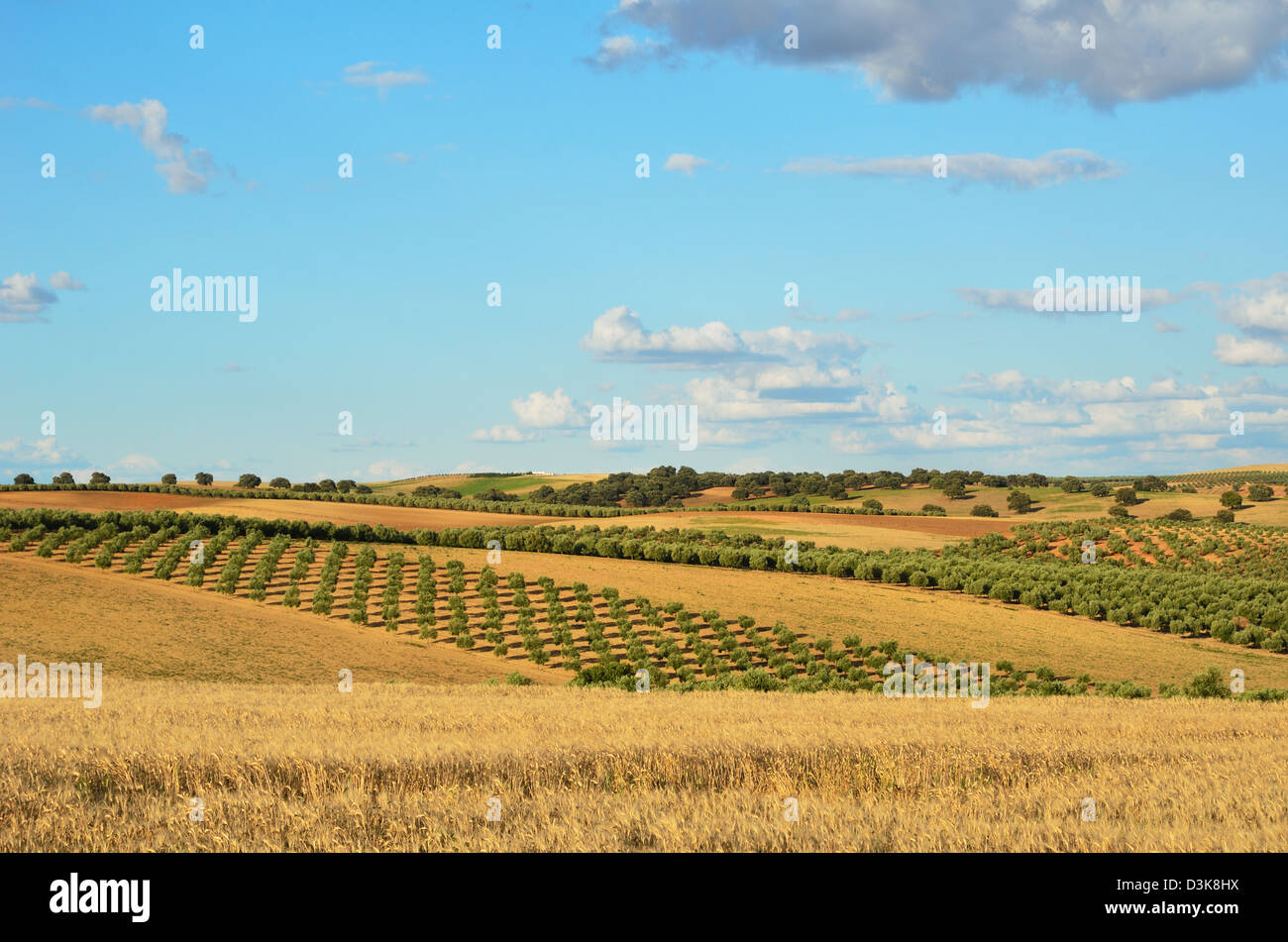 Spanish country landscape in spring Stock Photo - Alamy