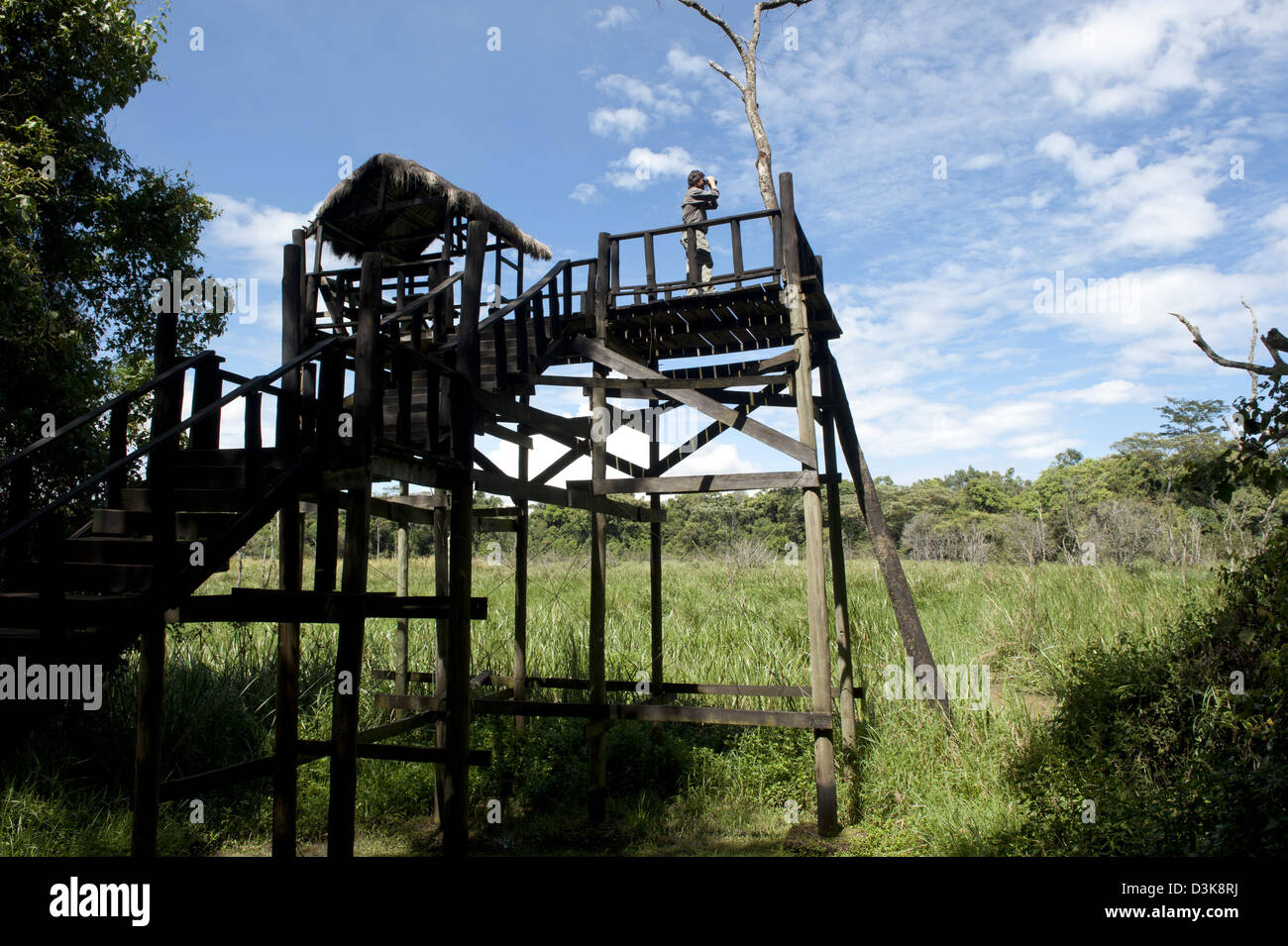 Platform overlooking the swamp, Saiwa Swamp National Park, Kenya Stock ...