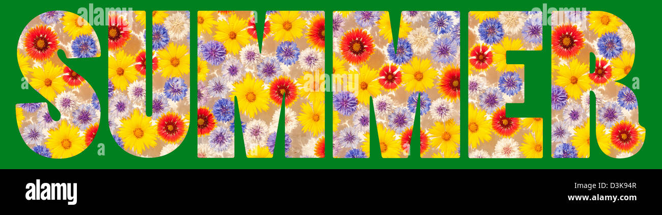 Colorful summer text with wildflowers on green background Stock Photo ...