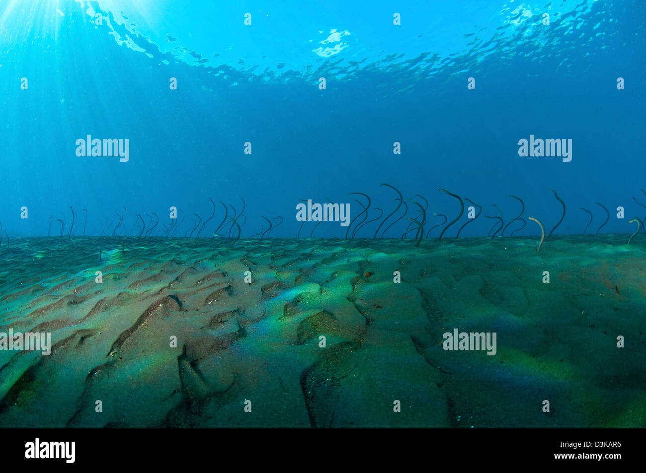 Undulating floor hi-res stock photography and images - Alamy