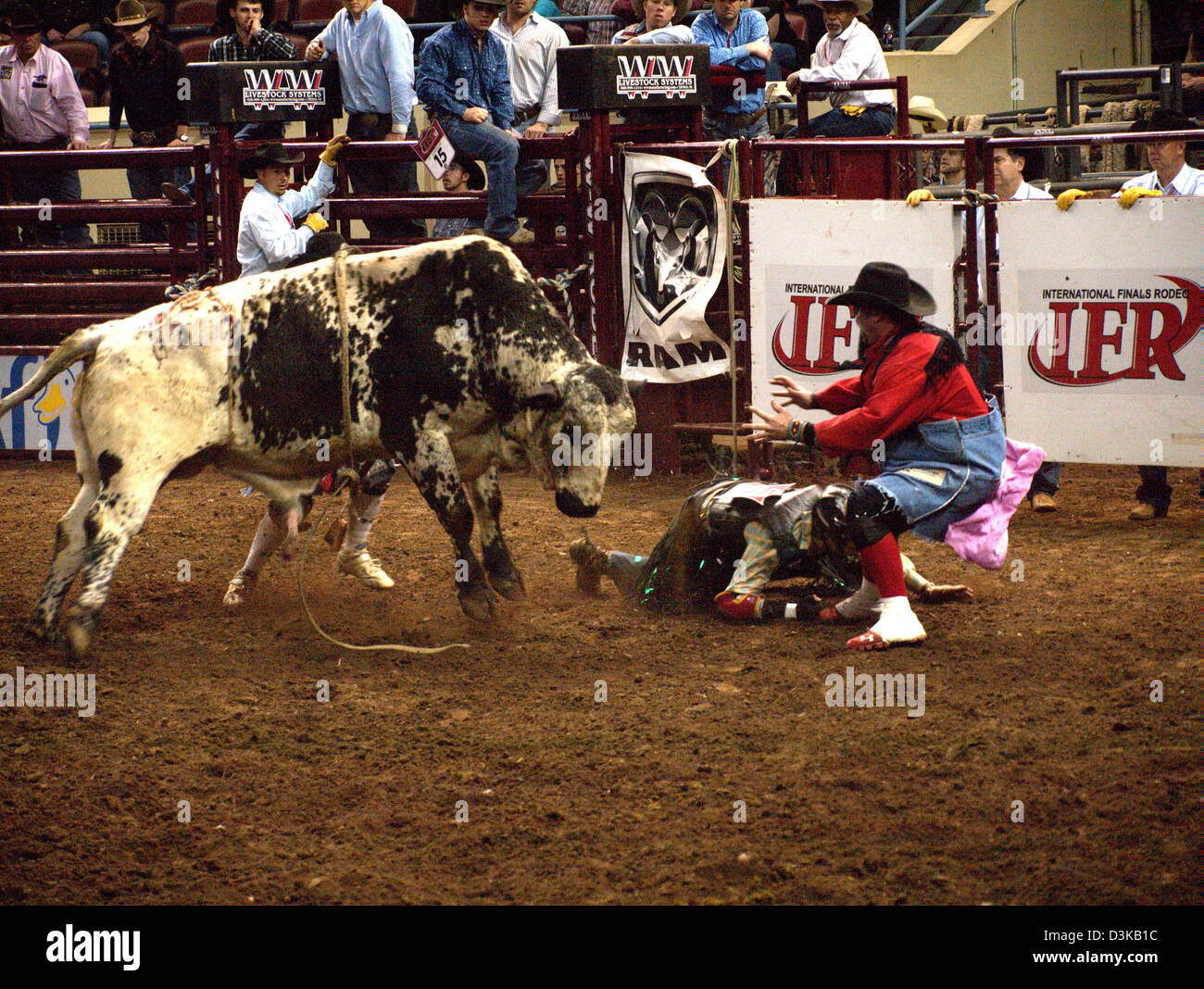 Cowboy riding bucking bull during the National Finals Rodeo in Oklahoma ...