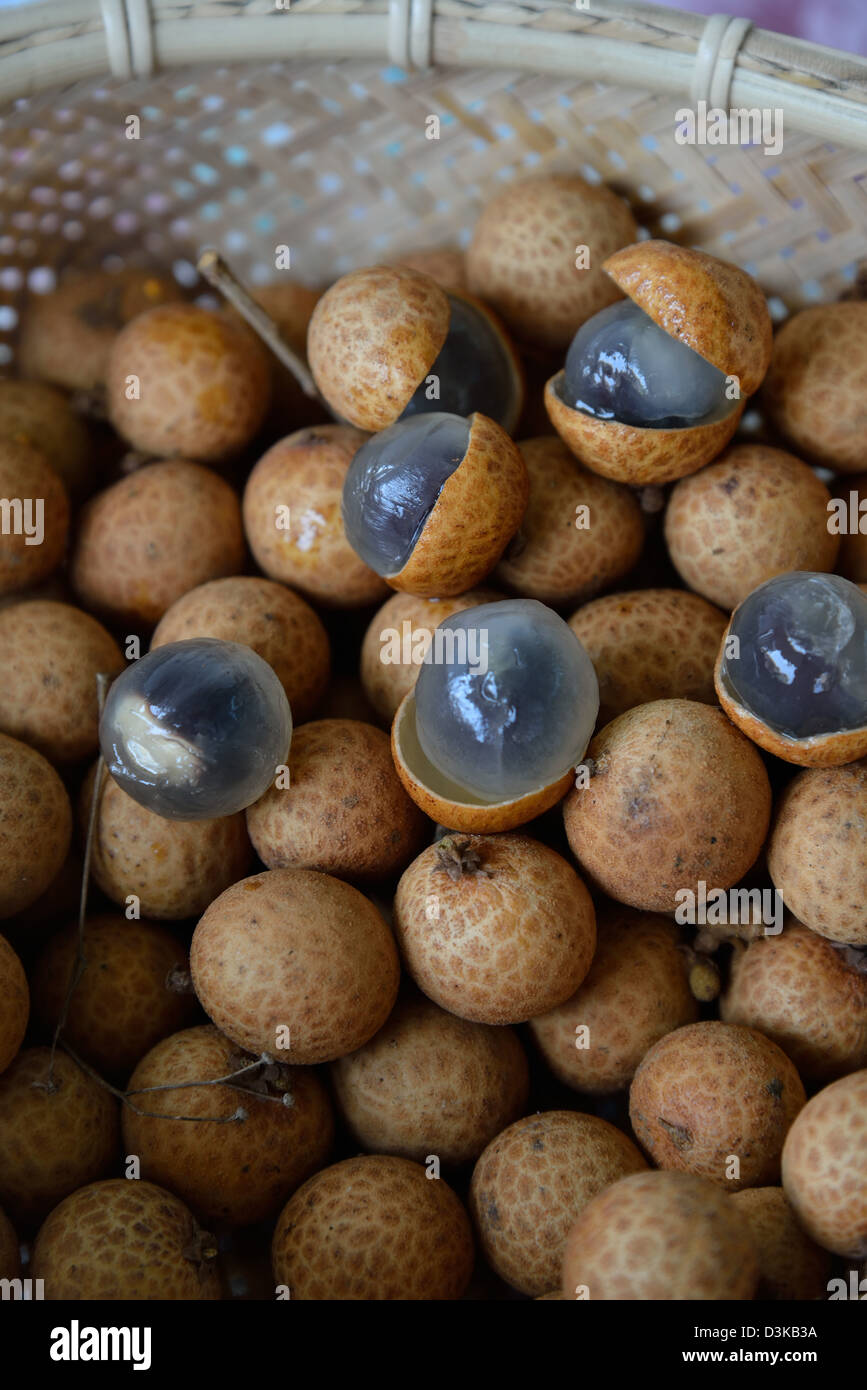 Dragon Eye Fruit Tree