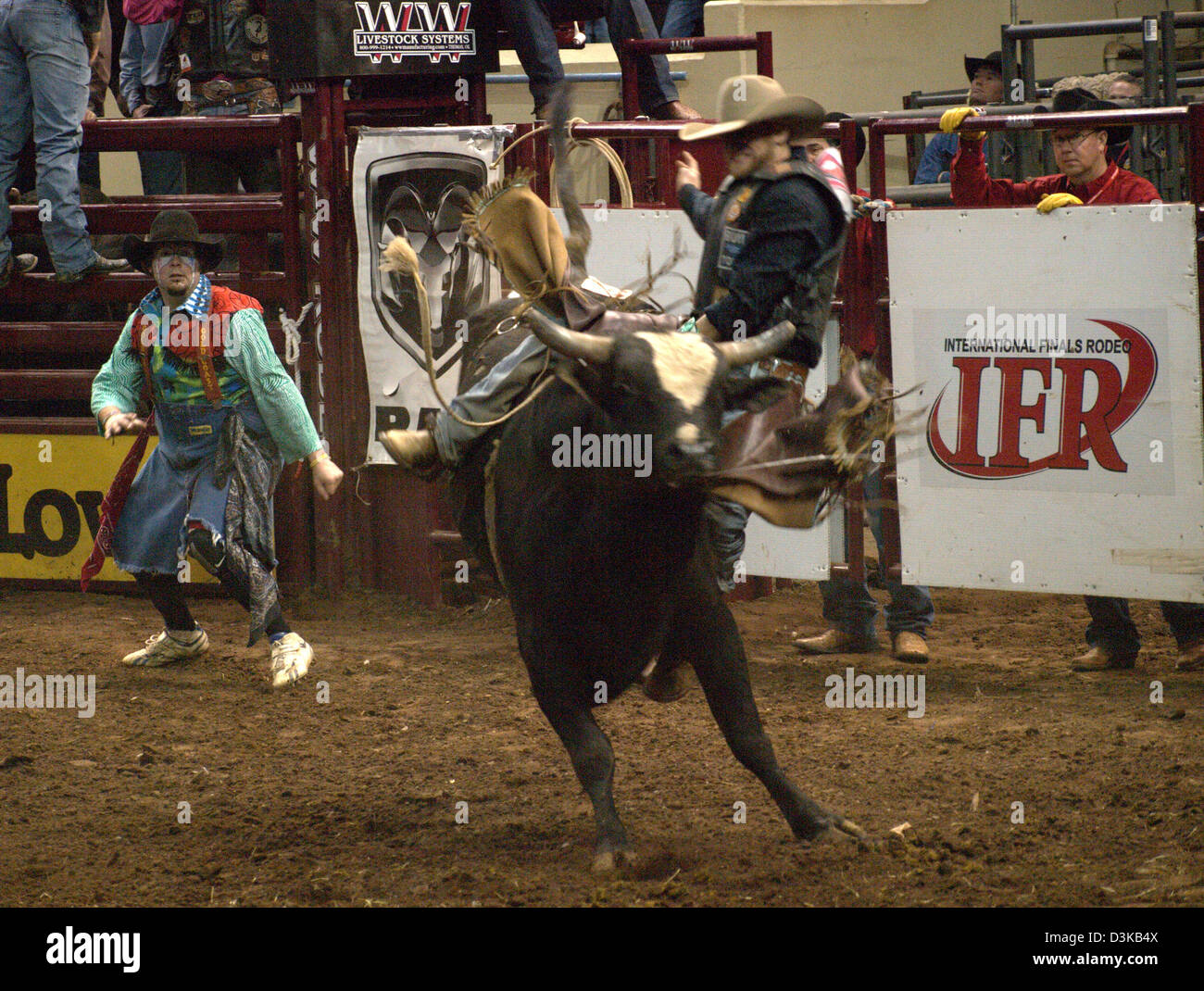 Cowboy riding bucking bull during the National Finals Rodeo in Oklahoma ...