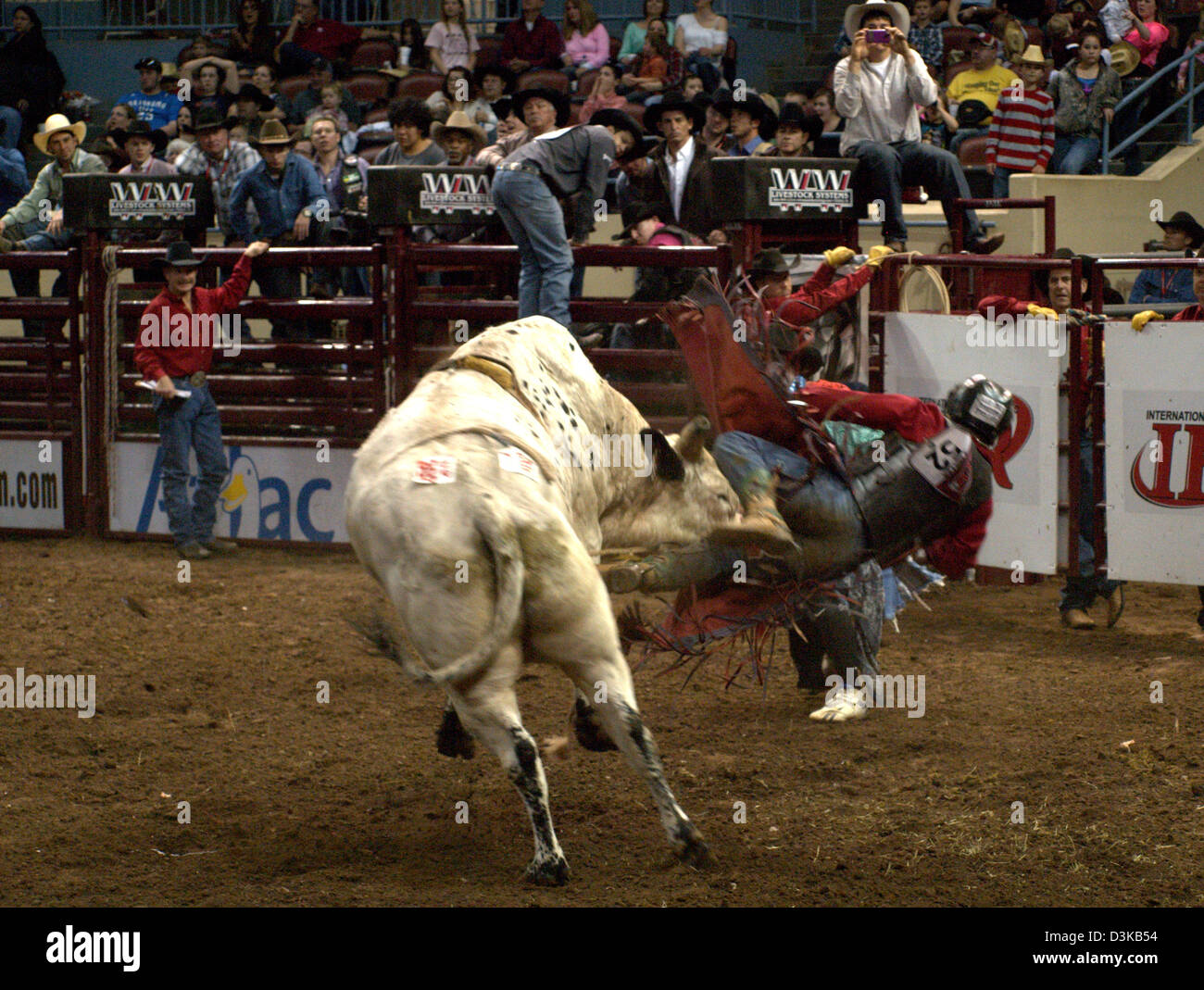 Cowboy riding bucking bull during the National Finals Rodeo in Oklahoma ...