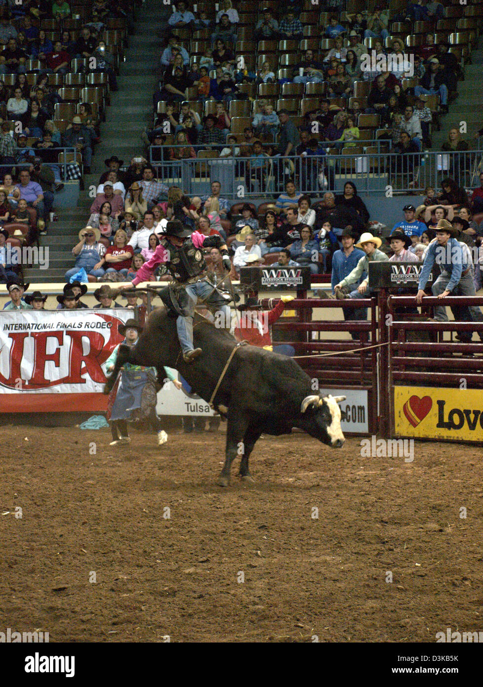 Cowboy riding bucking bull during the National Finals Rodeo in Oklahoma ...