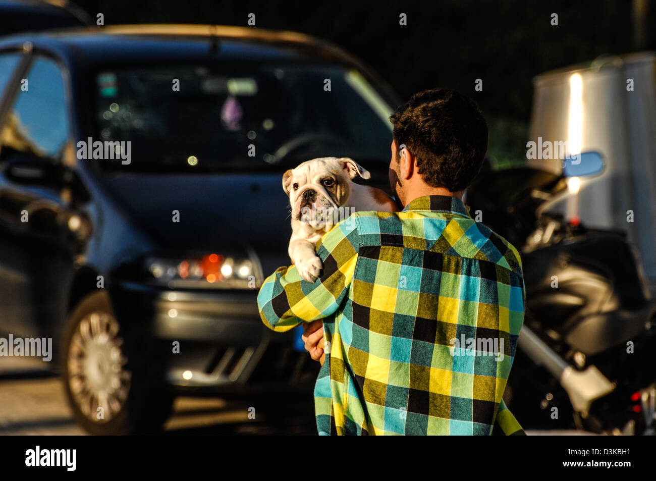 A man carrying his cute dog Stock Photo - Alamy
