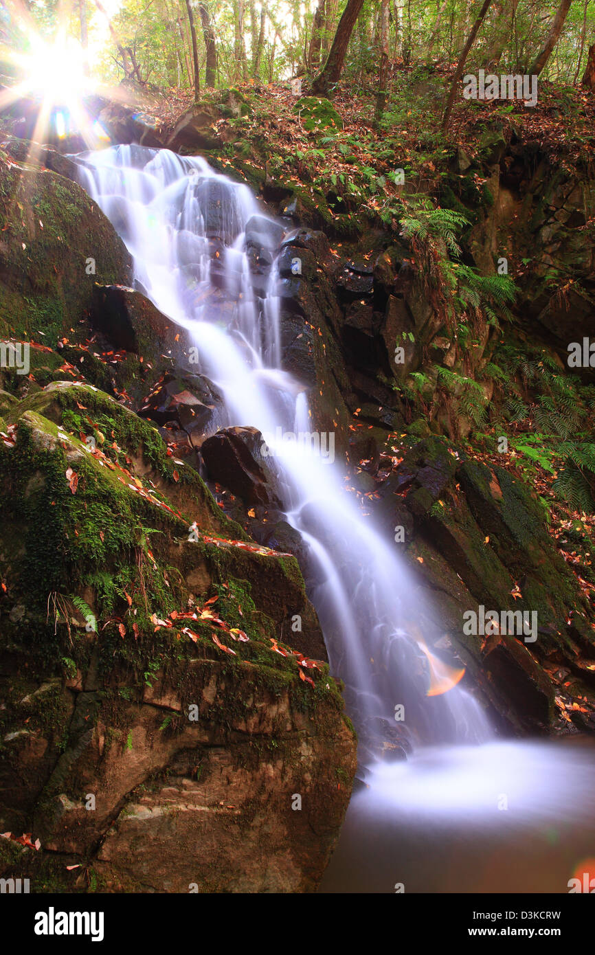 Uguisu Waterfall, Nara Prefecture Stock Photo - Alamy