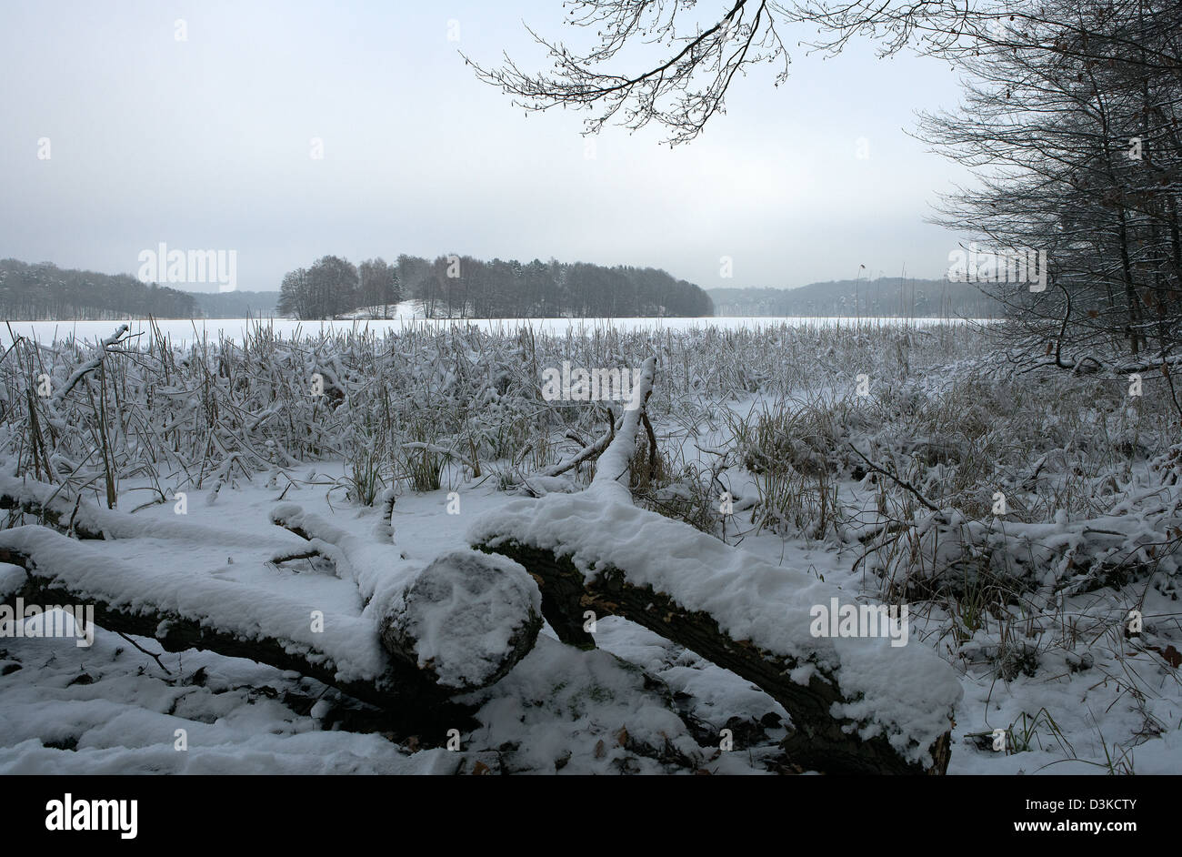 Wandlitz, Germany, view from the shore of the frozen Liepnitzsee Stock ...
